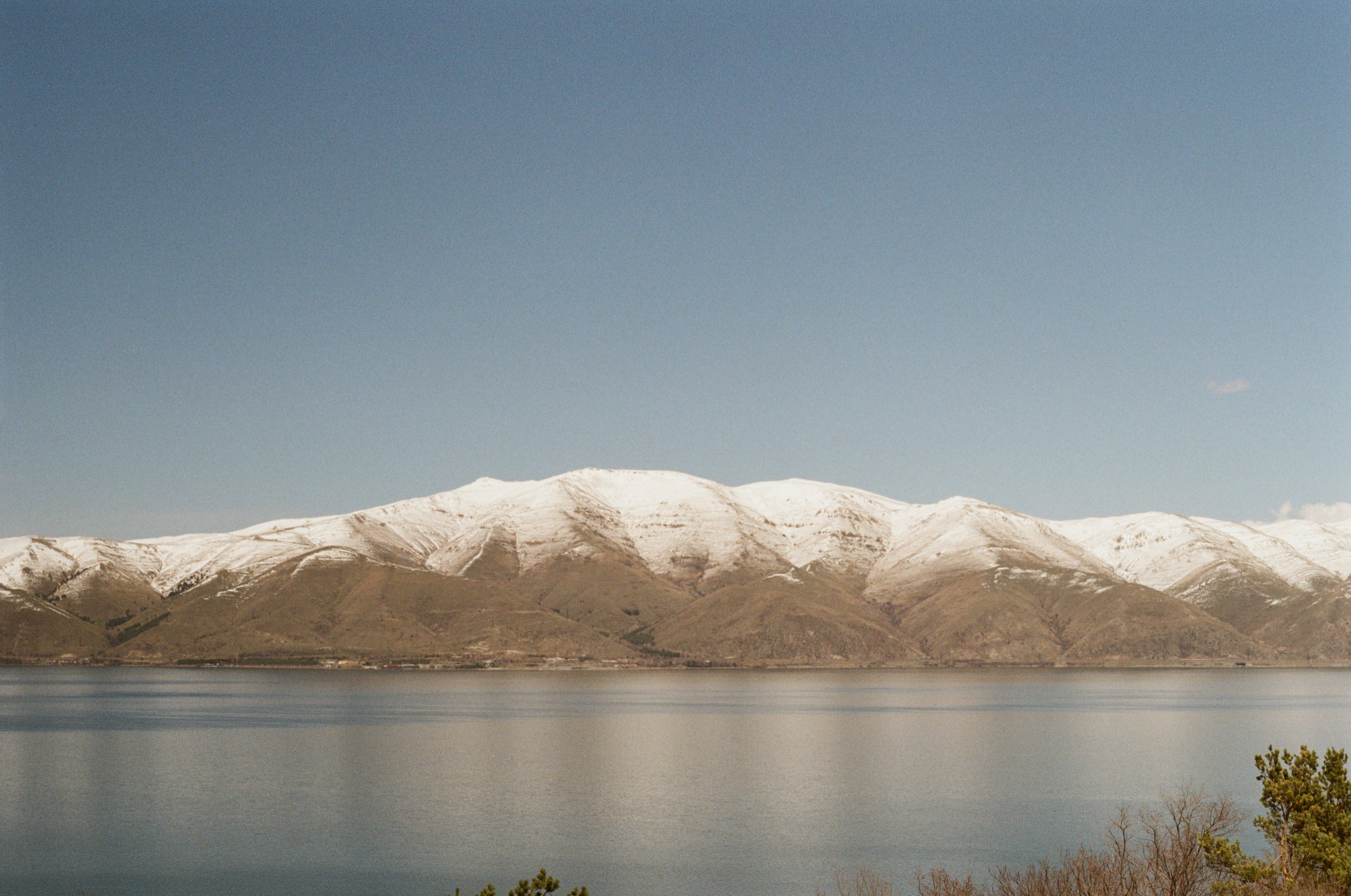 Sample photo from Asahi Pentax Spotmatic F