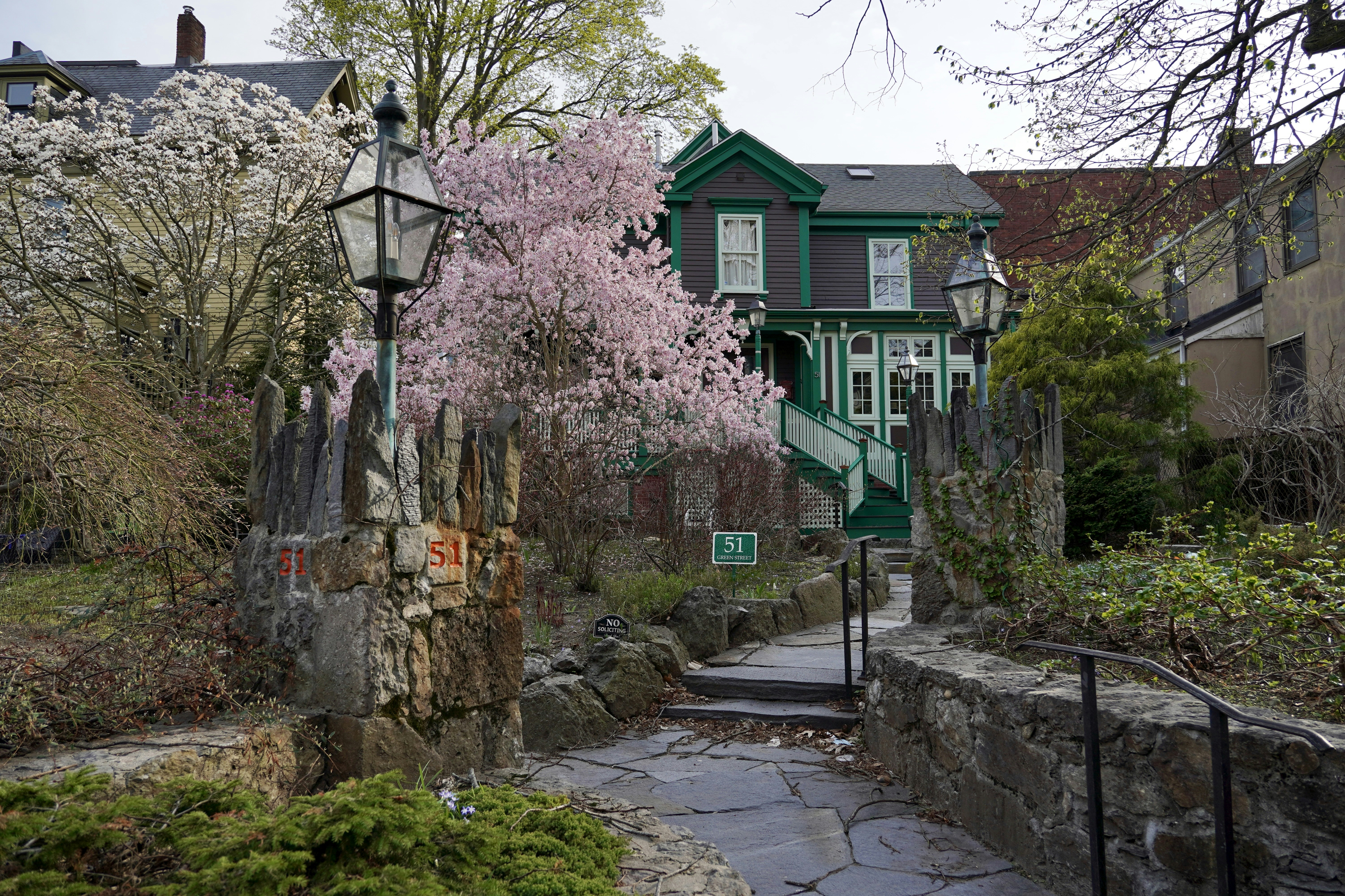 Charming pathway leading to a vibrant green house surrounded by blooming cherry blossoms and lush greenery.