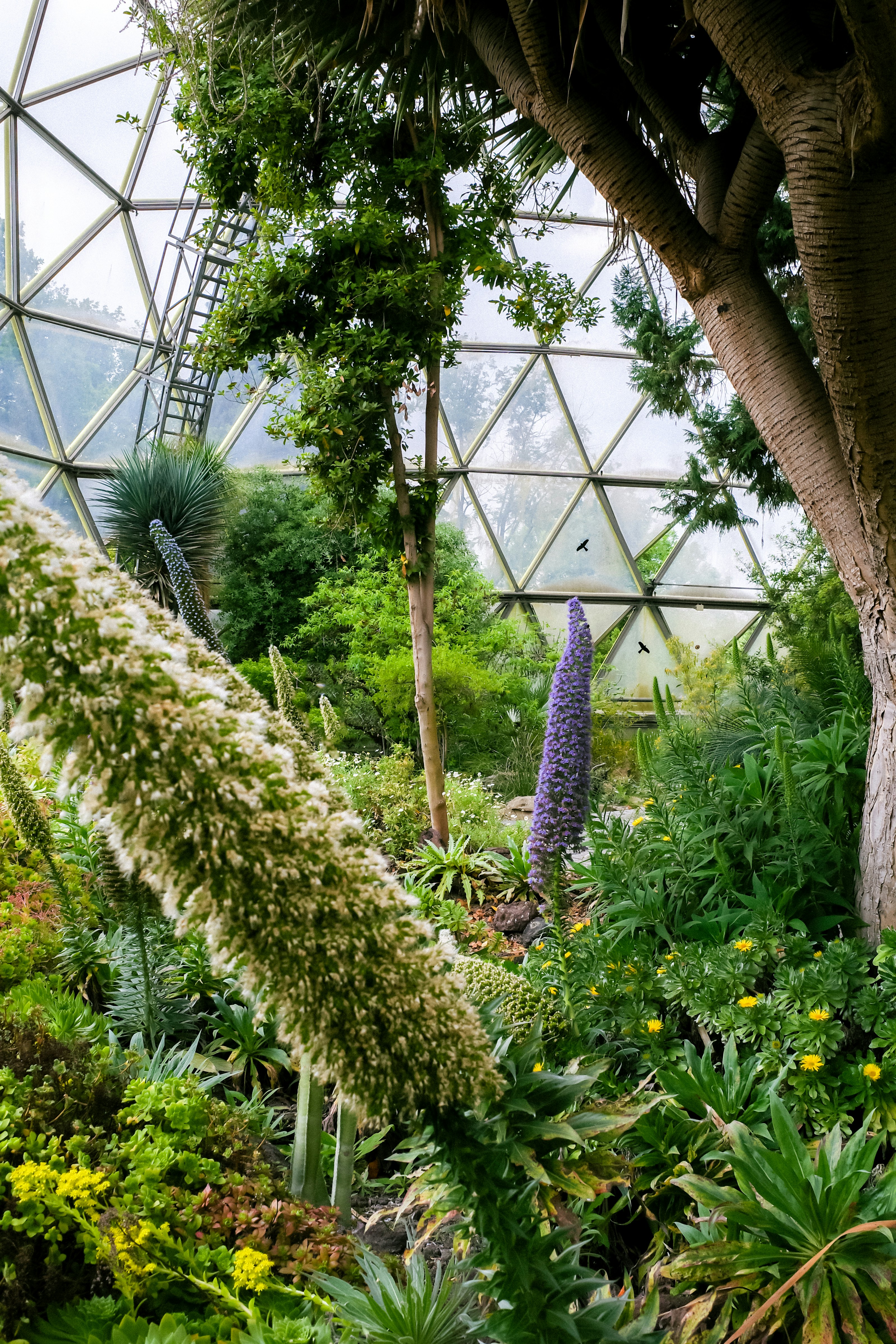 Photo by Minyeong Jeong with Ricoh GR III