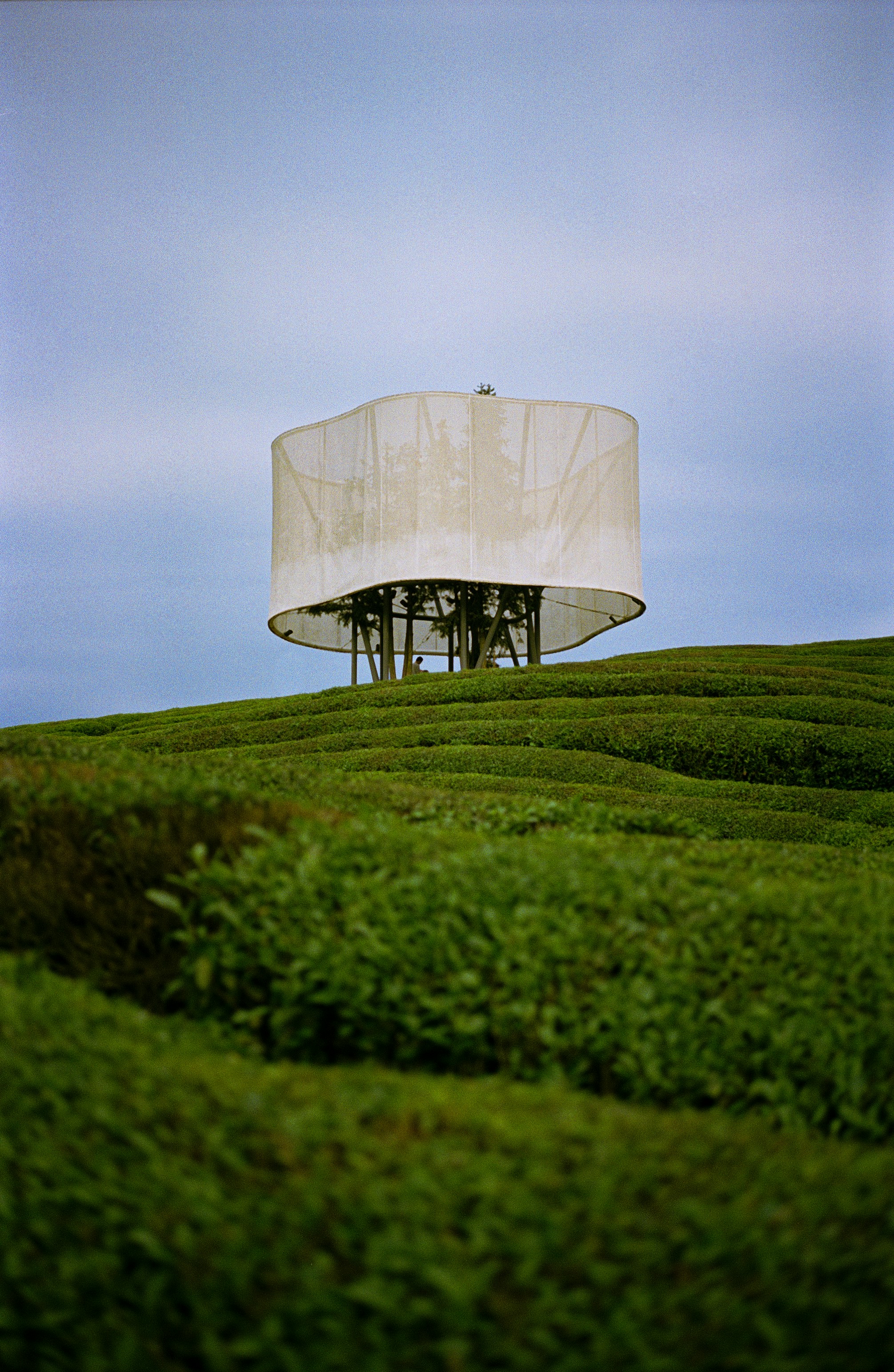 An art installation sits above a green field. photo – Free Film Image ...