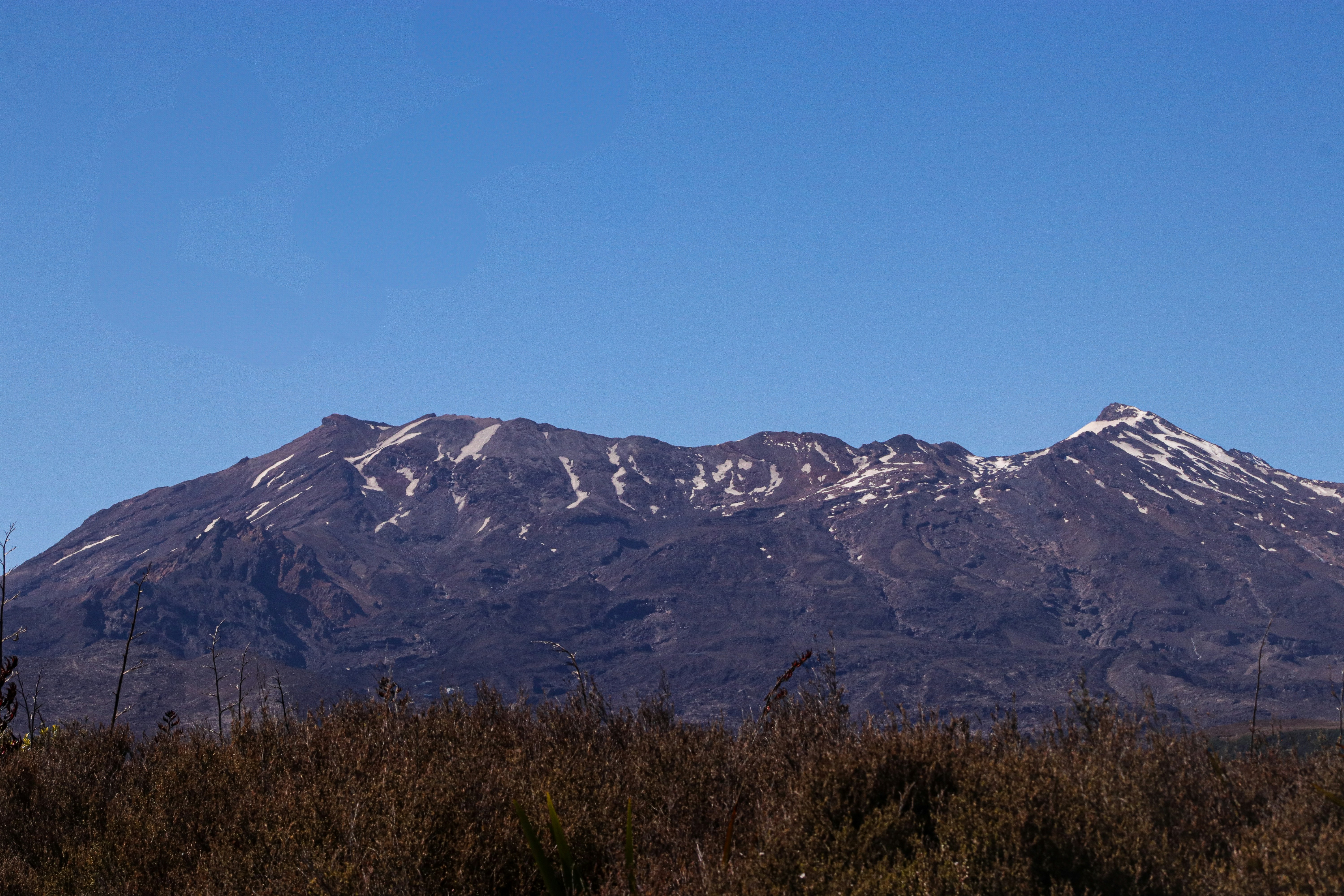 Snow-capped mountains rise against a clear blue sky, framed by lush vegetation in the foreground.