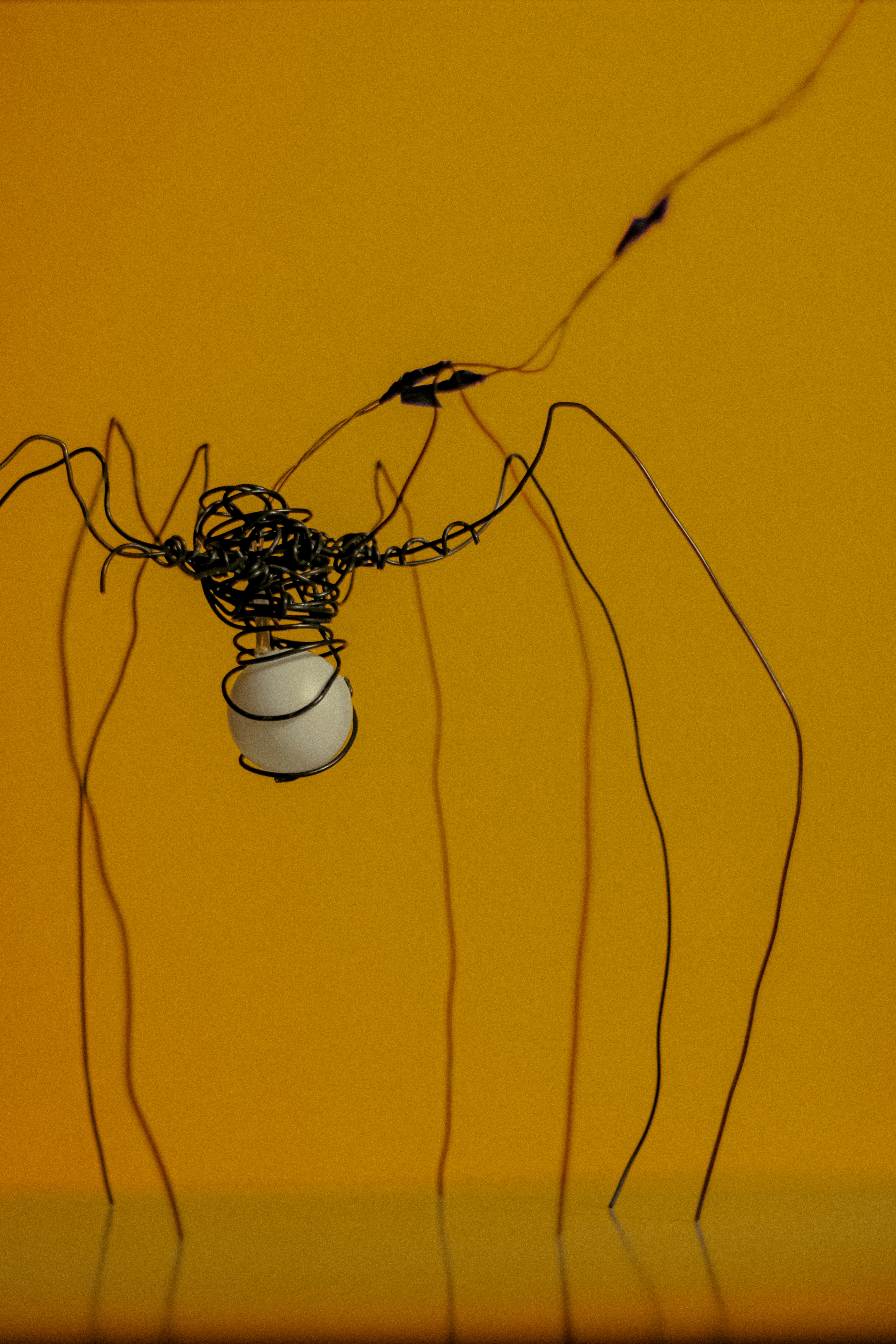 Amber Labyrinth: A Single Bulb Tethered by a Tangle of Wires