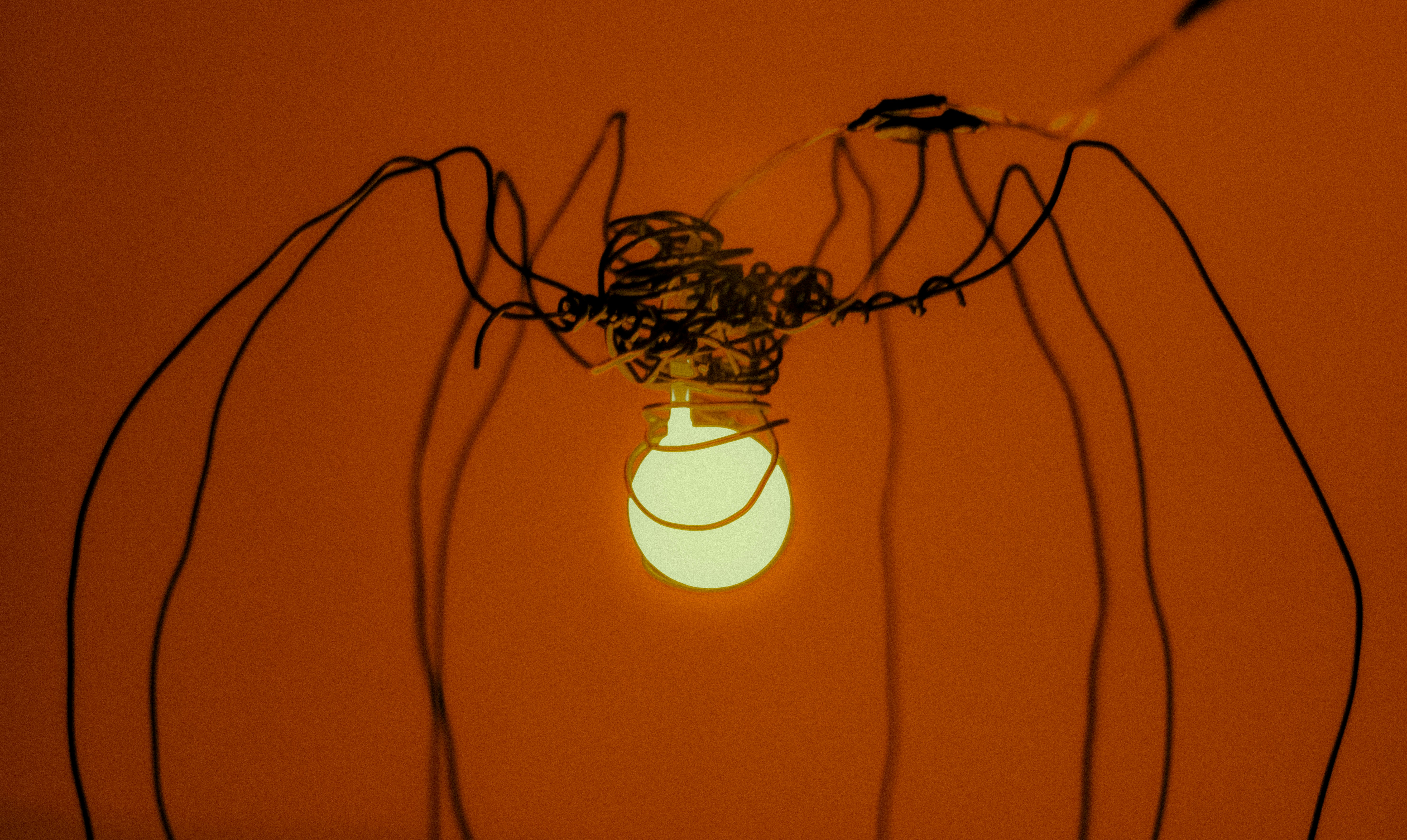 Glowing Orb in a Woven Cage