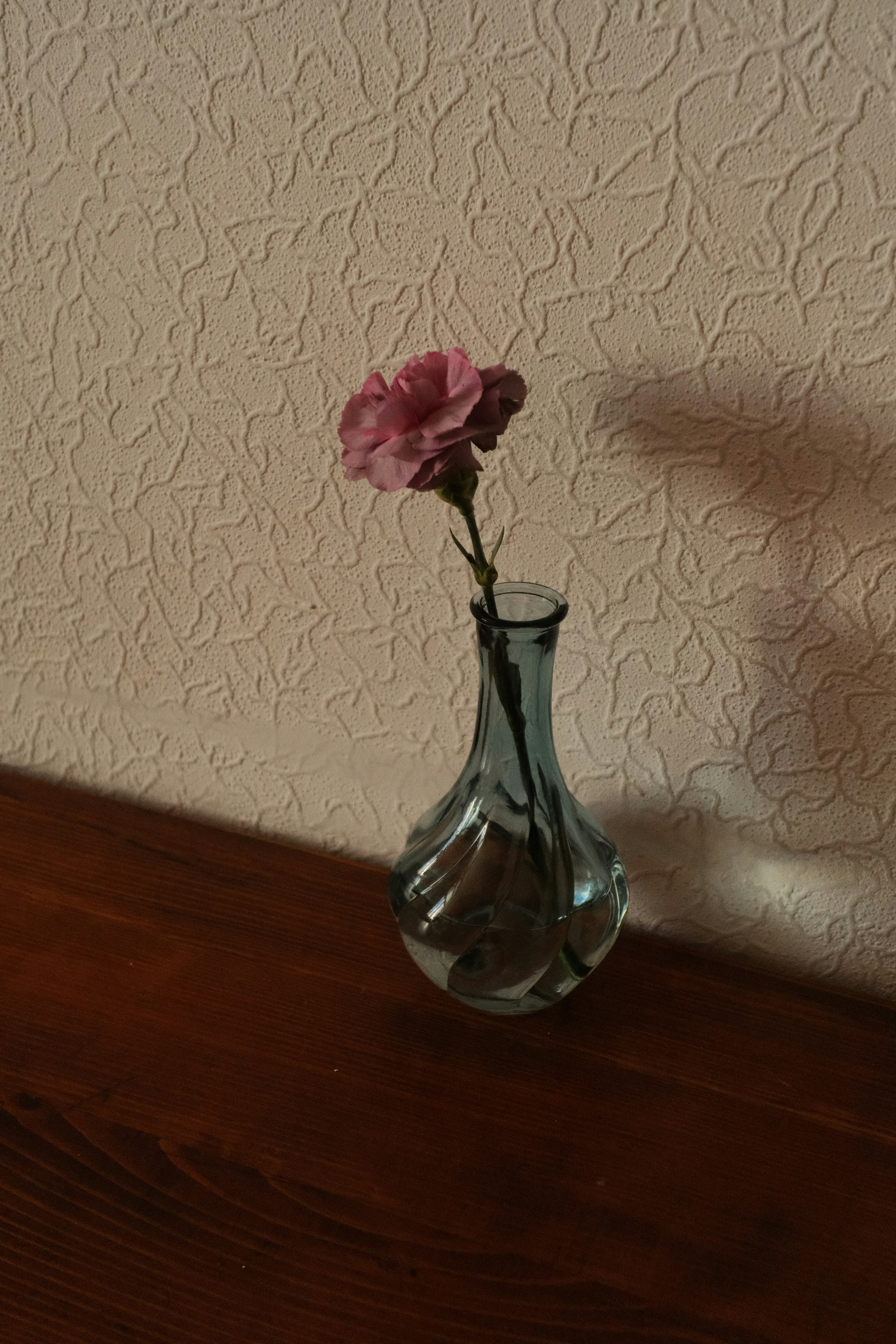 Pink Bloom in a Teardrop Vase on a Quiet Wooden Surface