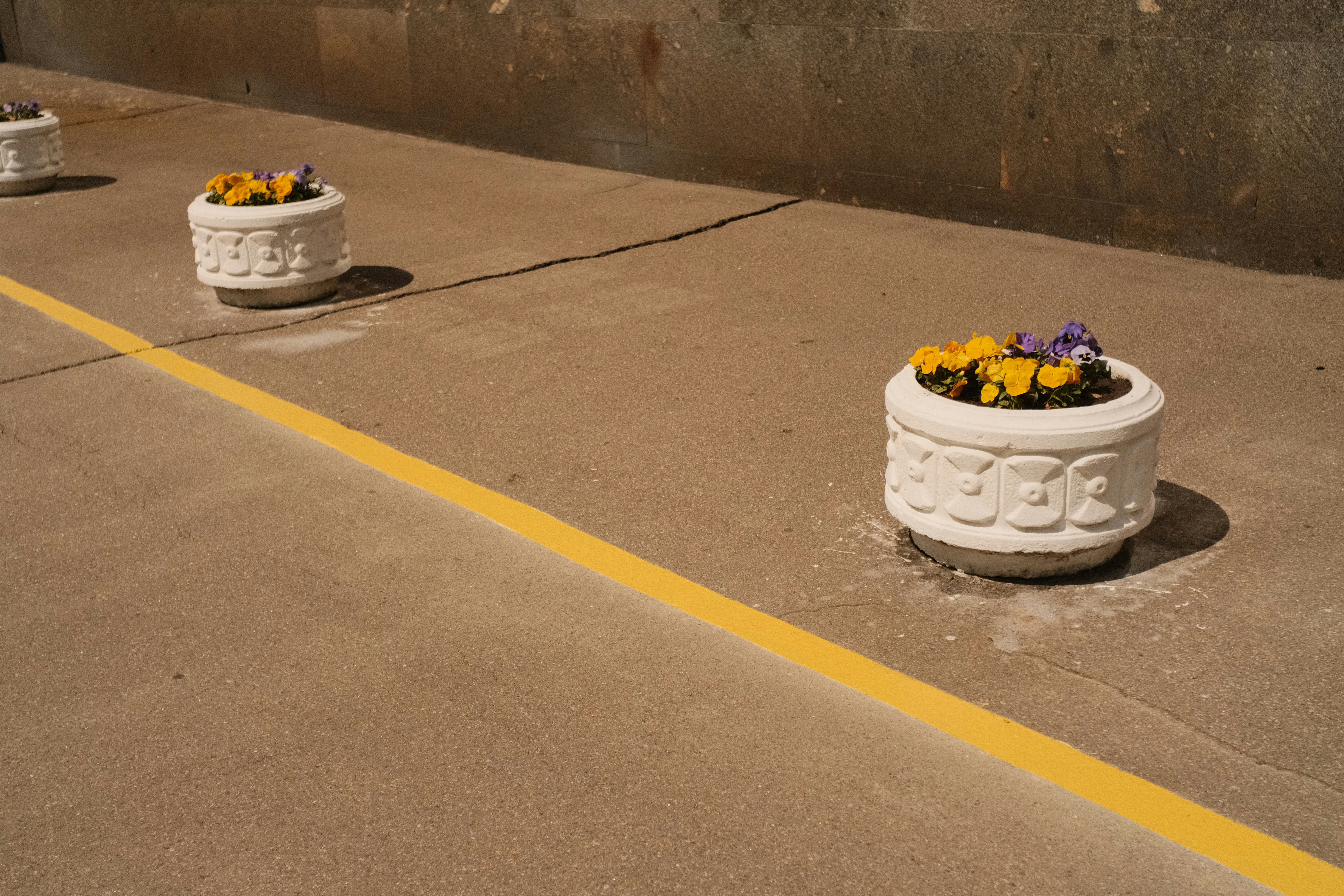 Ornate Planters Guard a Quiet Boulevard in Late Afternoon Light