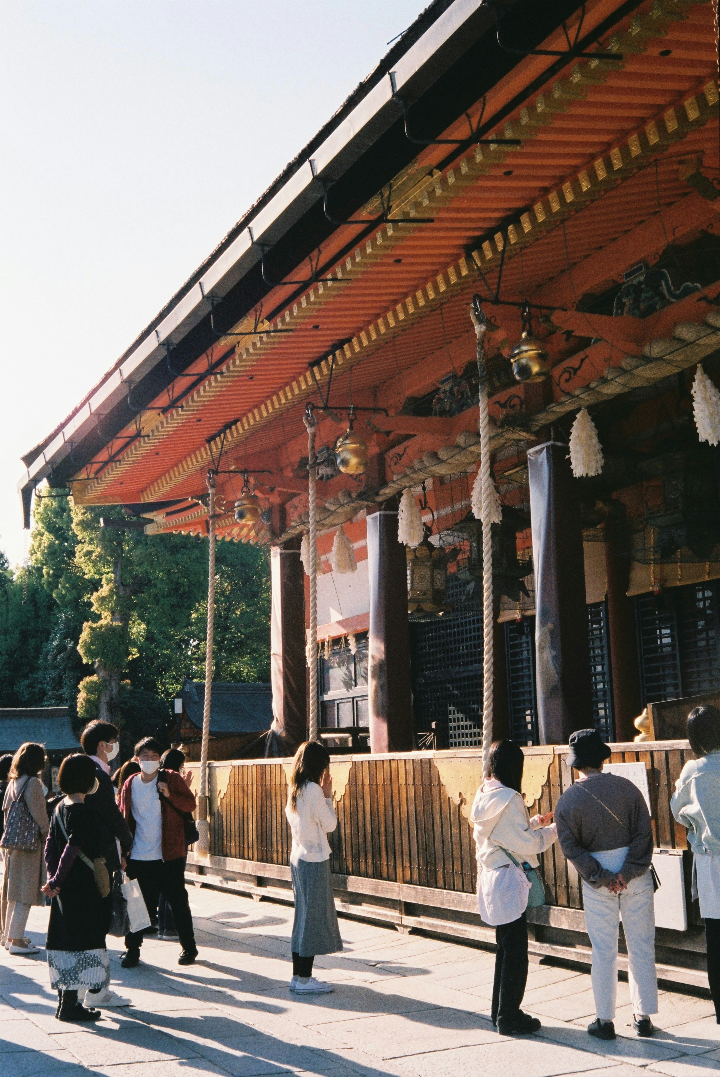 Harmony in Tradition: A Gathering at the Shrine