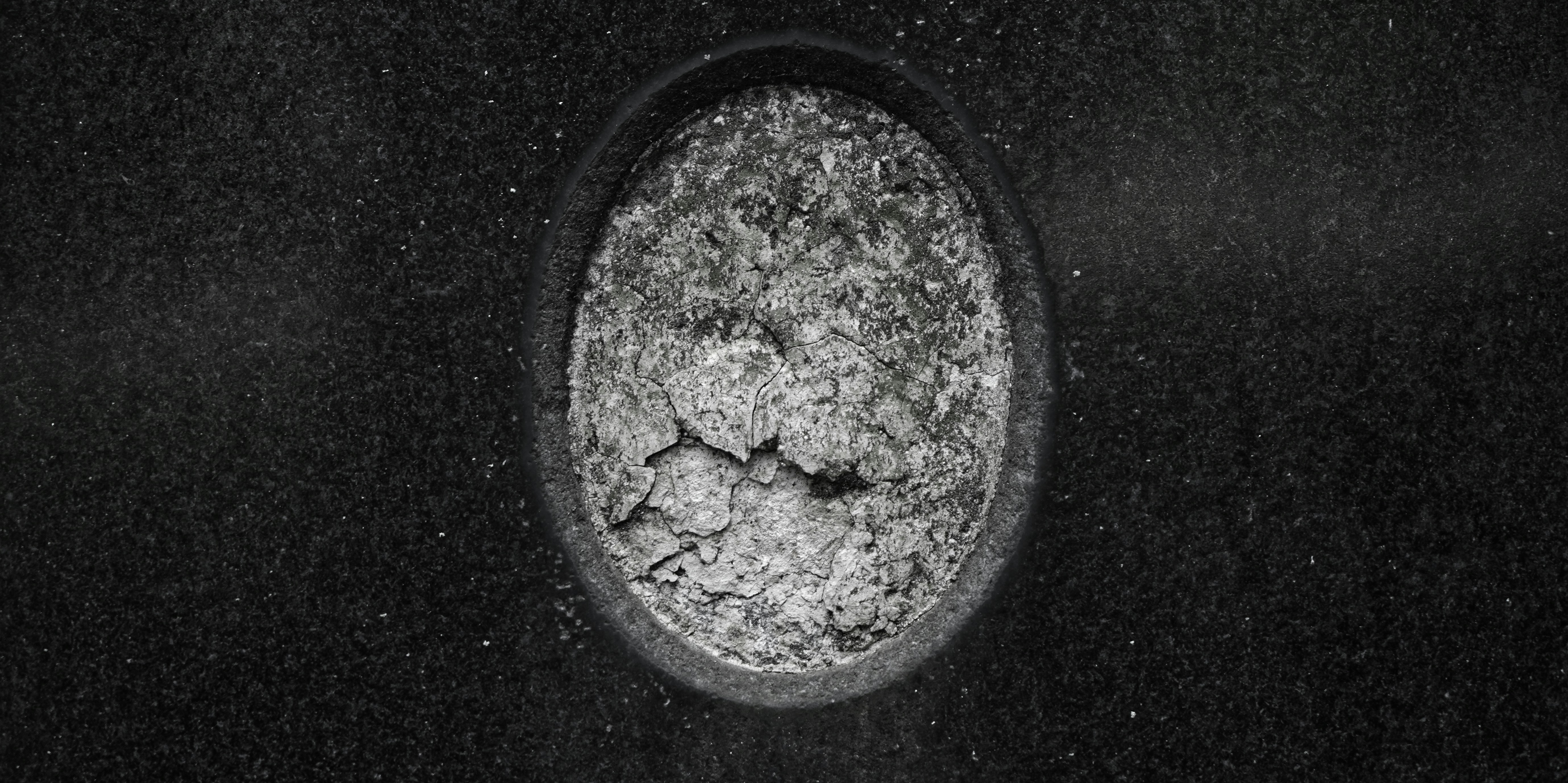 The Echo of Time: A Weathered Emblem