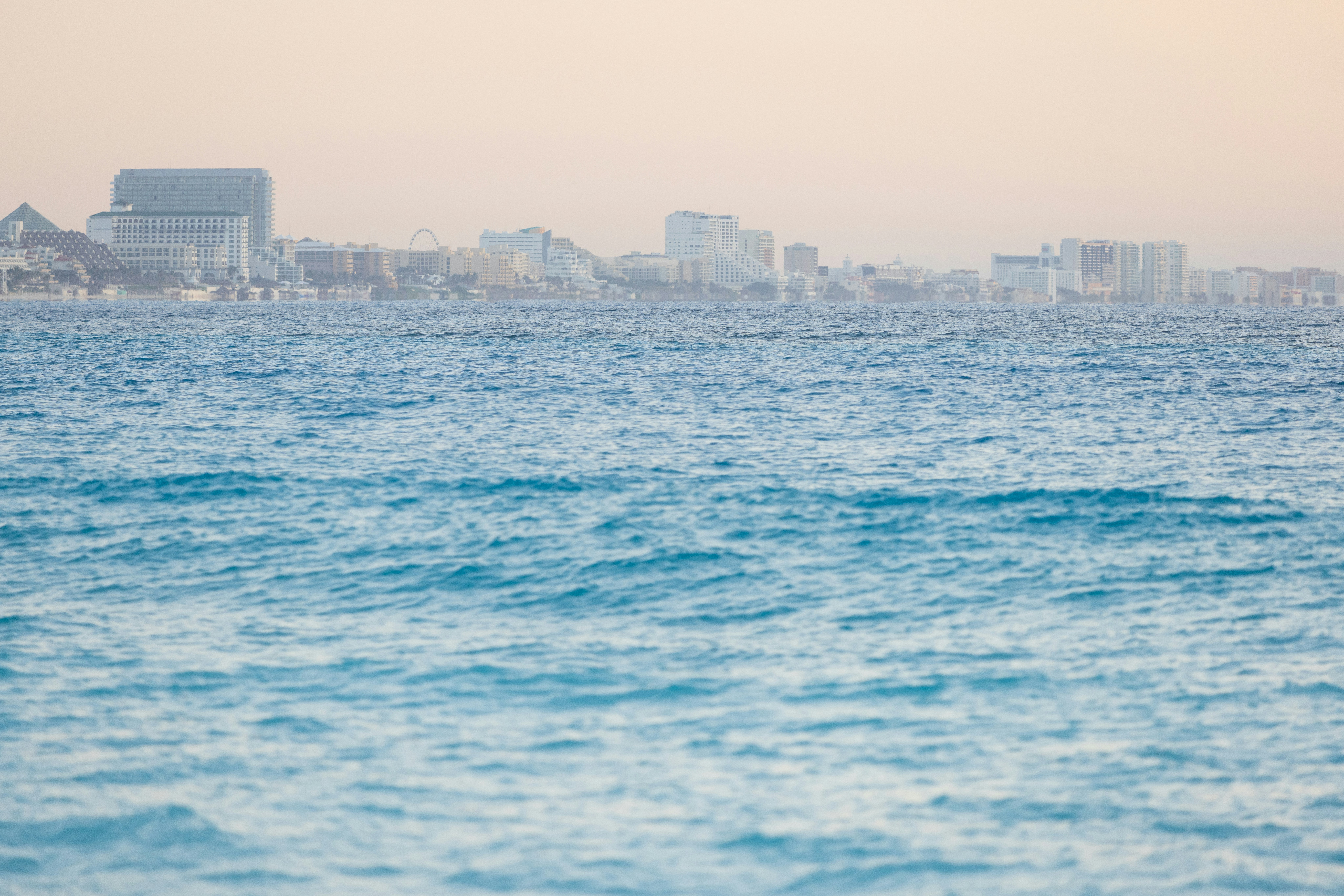 Photo by Henrique Ferreira with Canon EOS R5