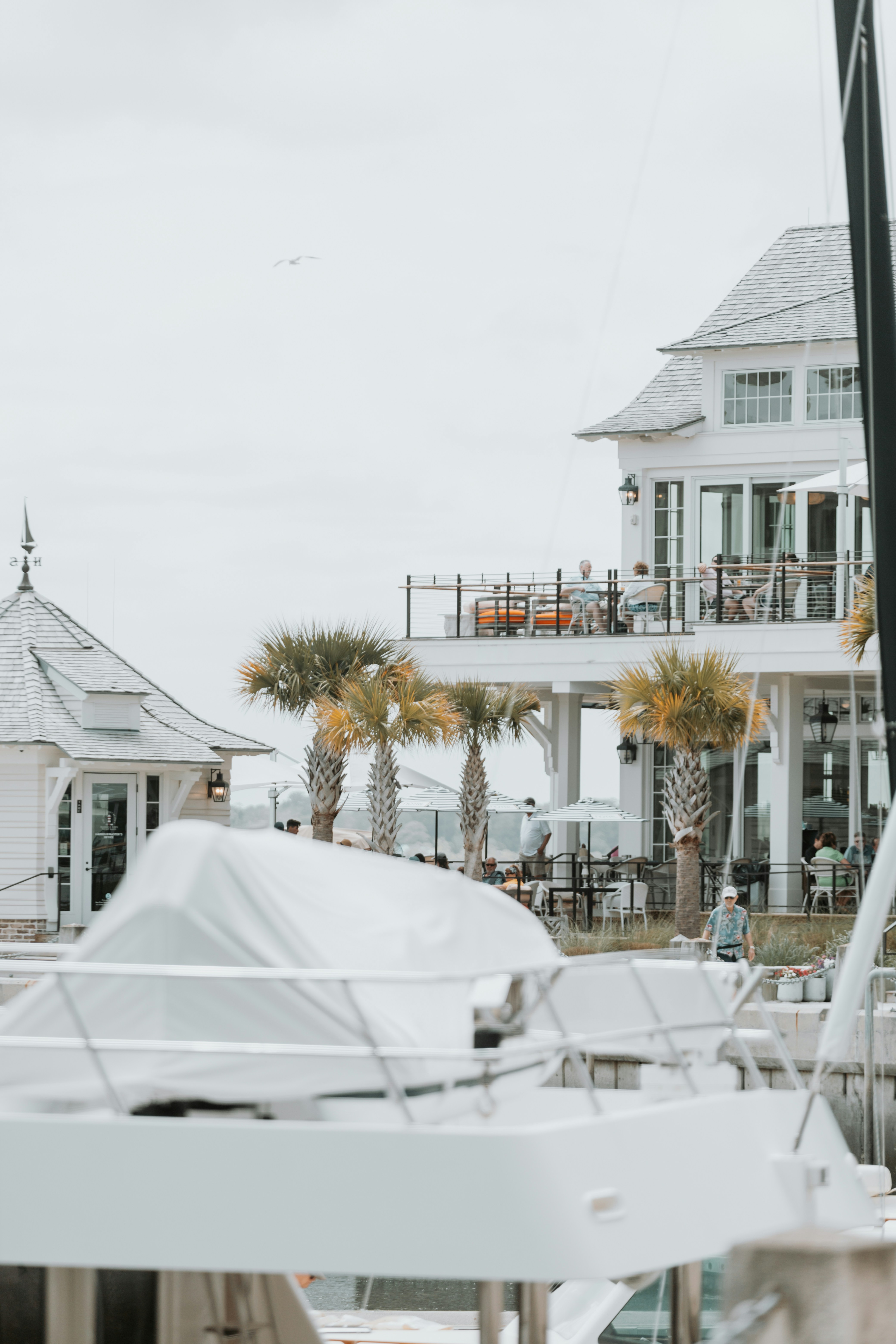 Veranda Over Marina: Palm-Framed White Facades and a Busy Terrace