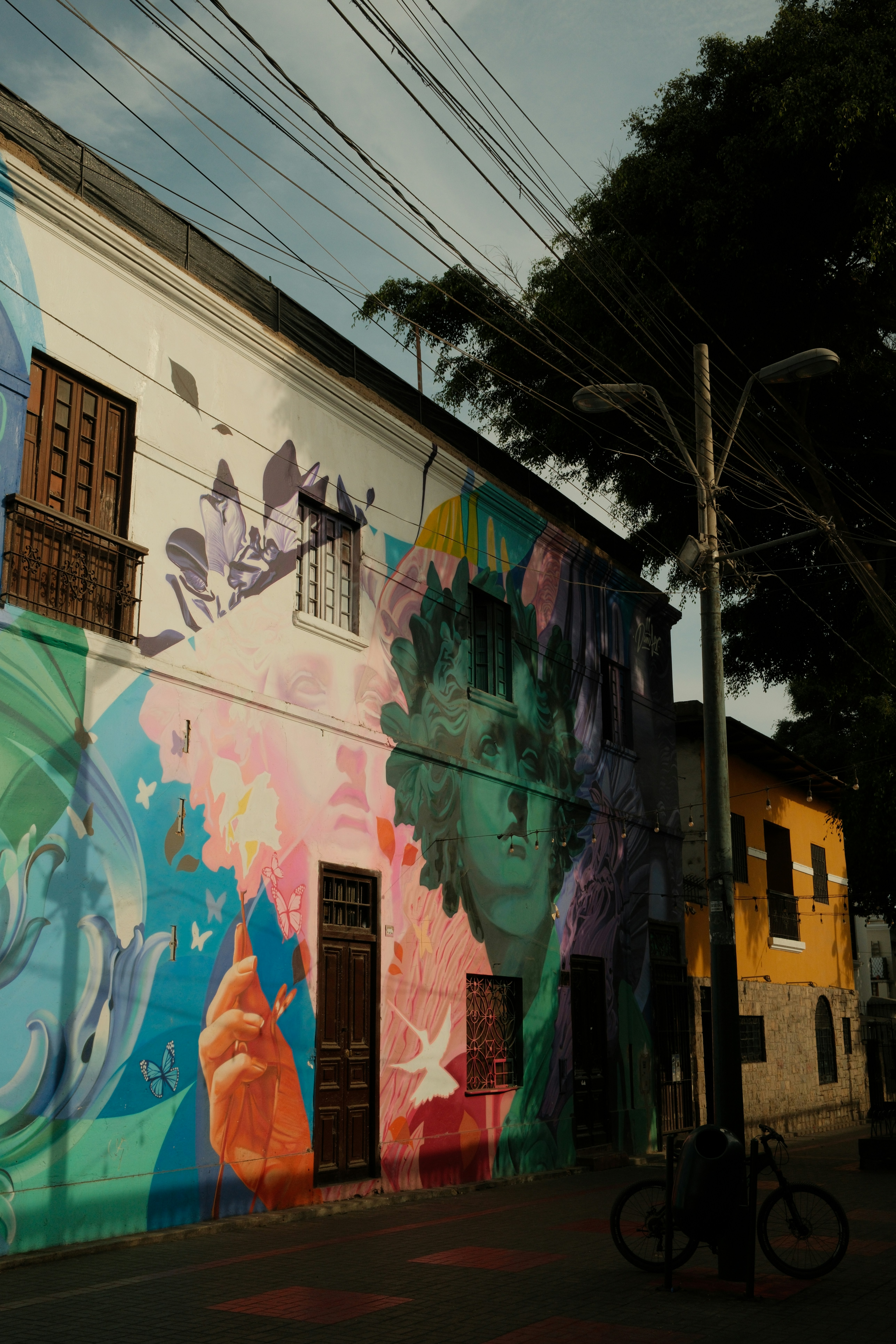 Colorful murals decorate a building on a city street. photo – Free ...