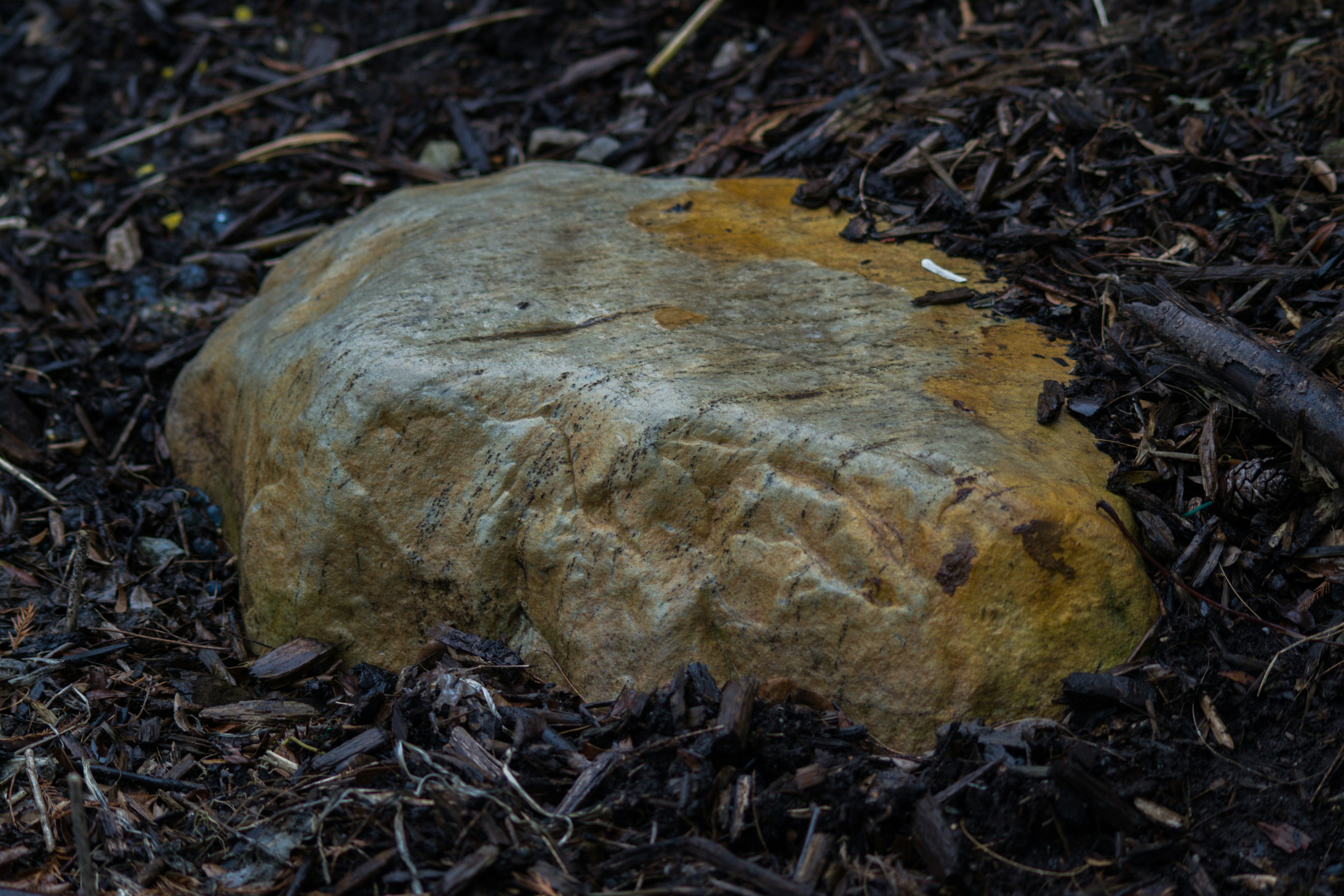 Nature's Subtle Sculpture