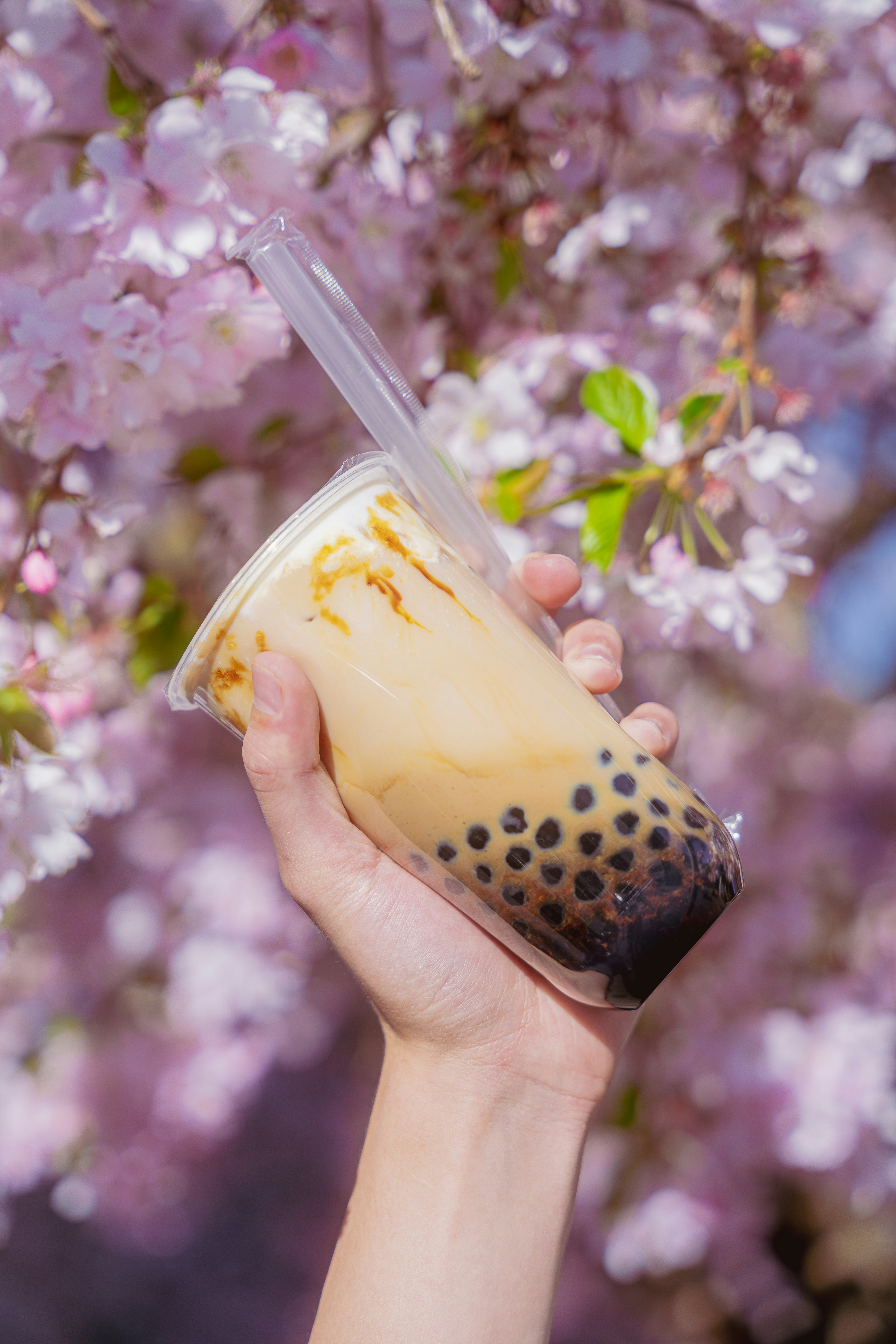 Hand holding a cup of bubble tea featuring creamy layers and dark tapioca pearls, set against a backdrop of pink cherry blossoms.