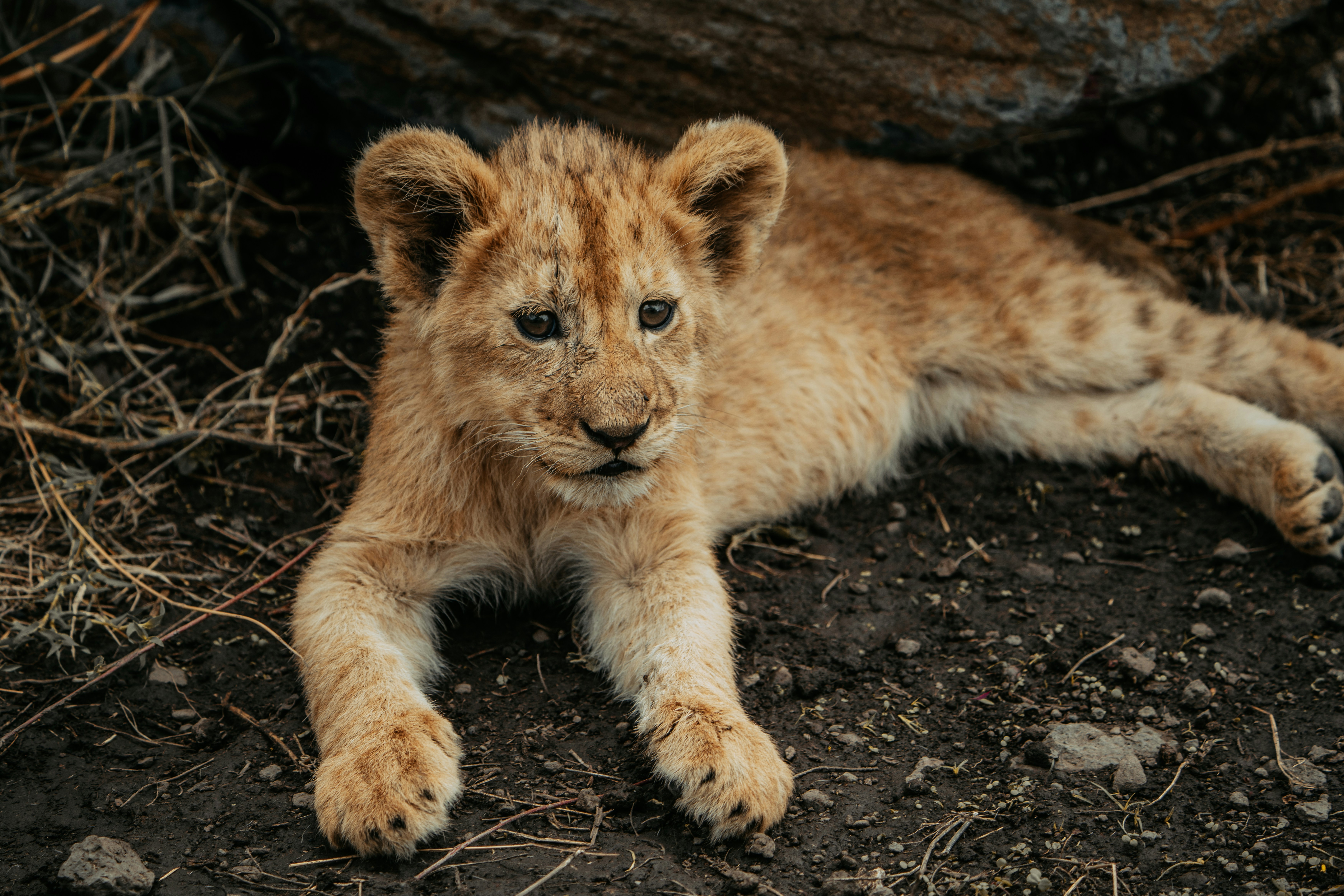 Photo by Matthew Stephenson with Sony Alpha 7 IV