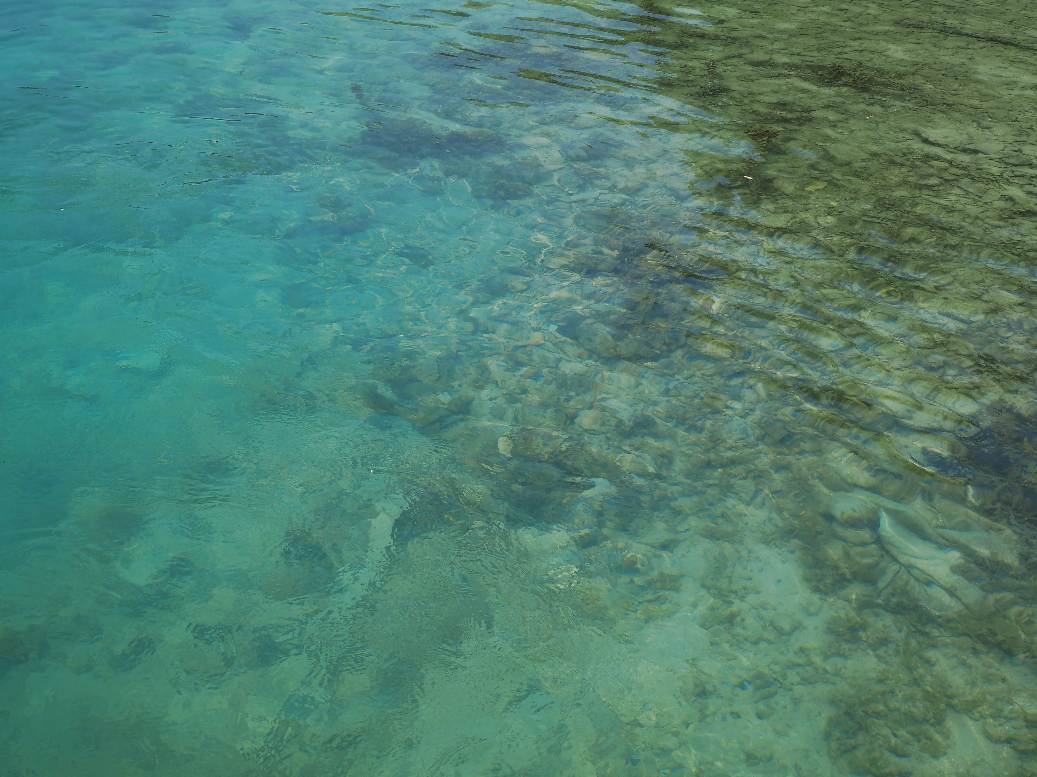 L’eau claire révèle des rochers et le lit de la rivière. photo – Image gratuite de Mer sur Unsplash