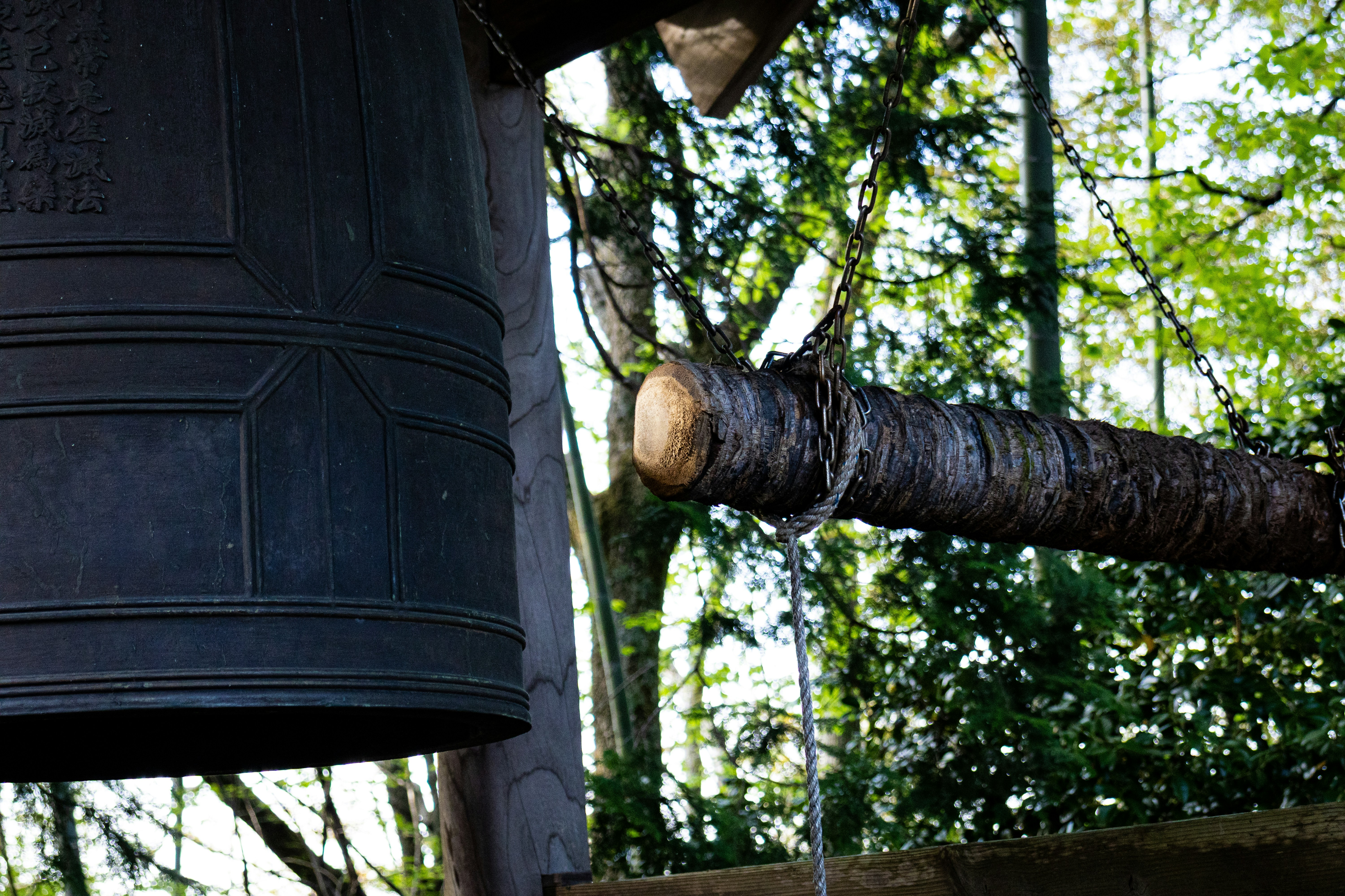 Harmony of Nature and Craftsmanship