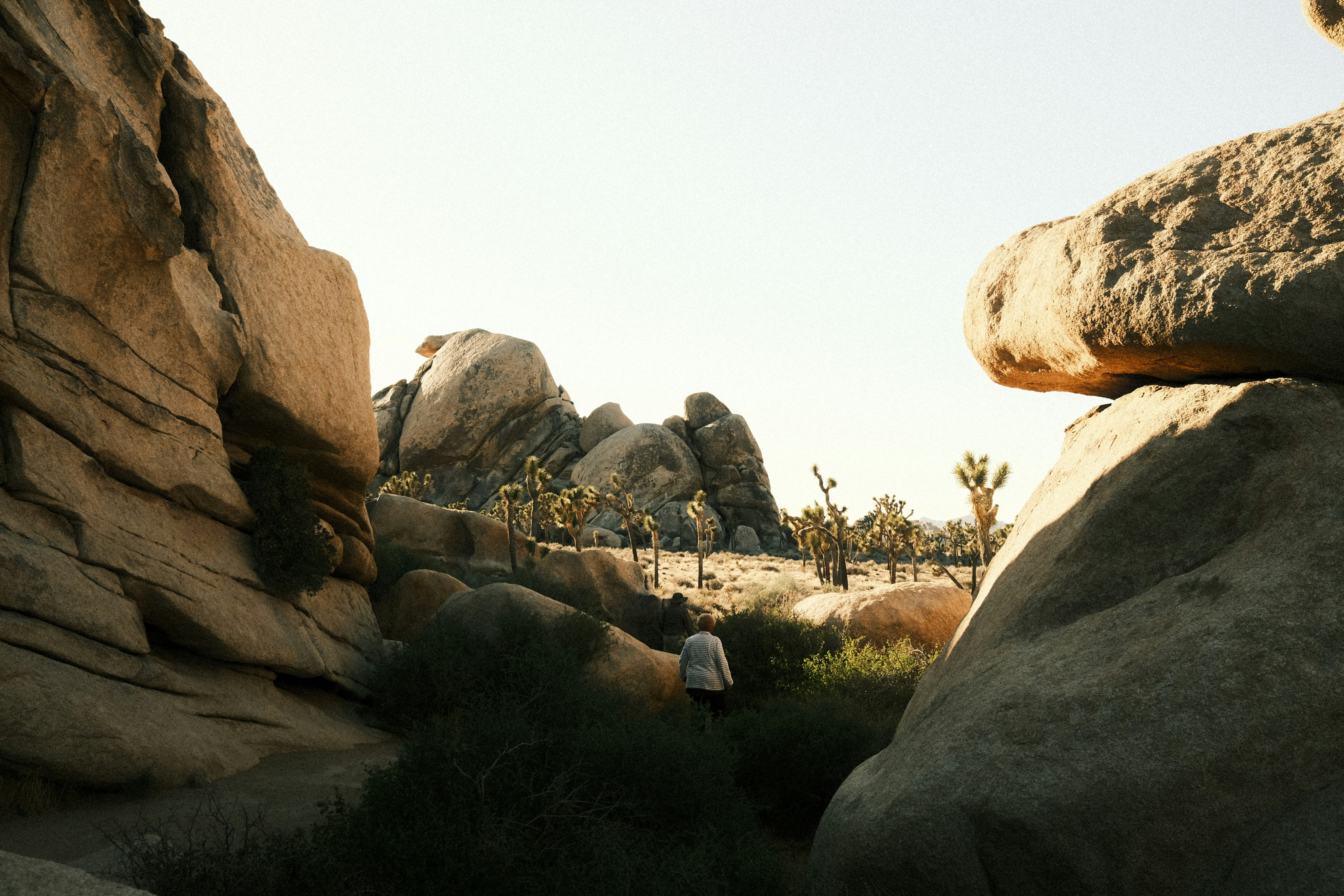 Desert Granite Passage: A Lone Traveler Between Ancient Boulders