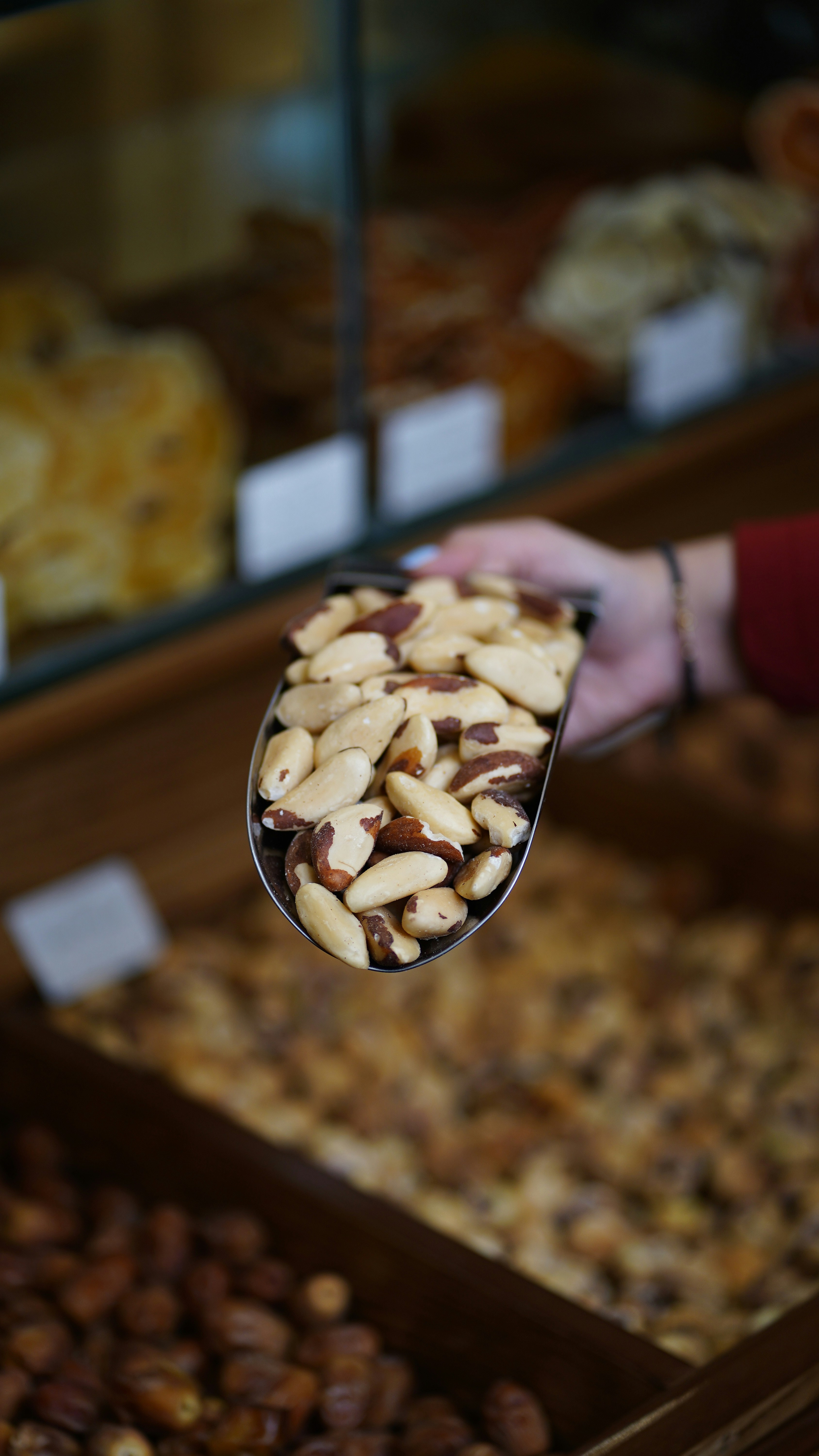 A Taste of Nature's Crunch: The Nutty Selection