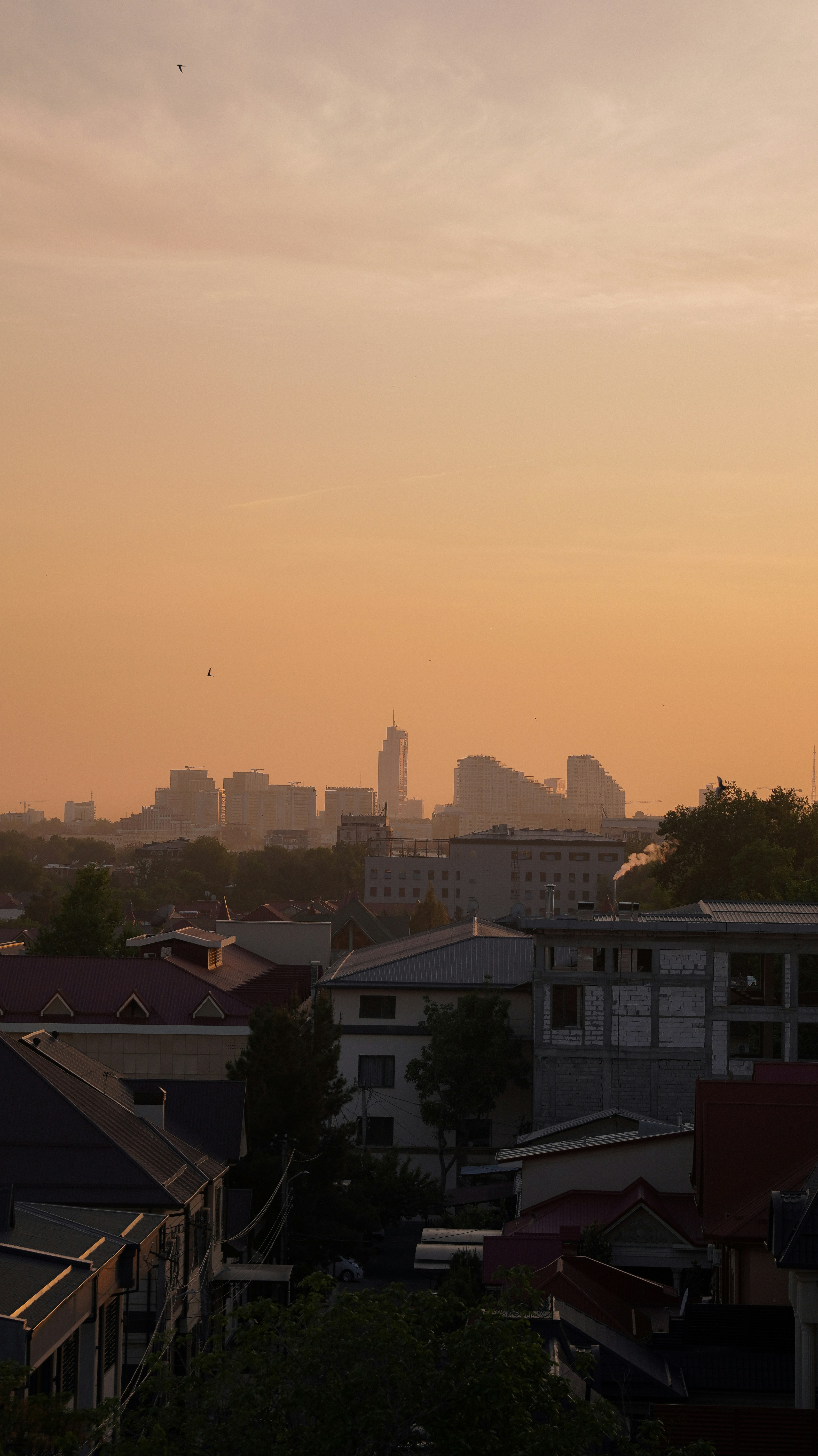 Photo by Salohiddin Kamolov with Sony Alpha 6400