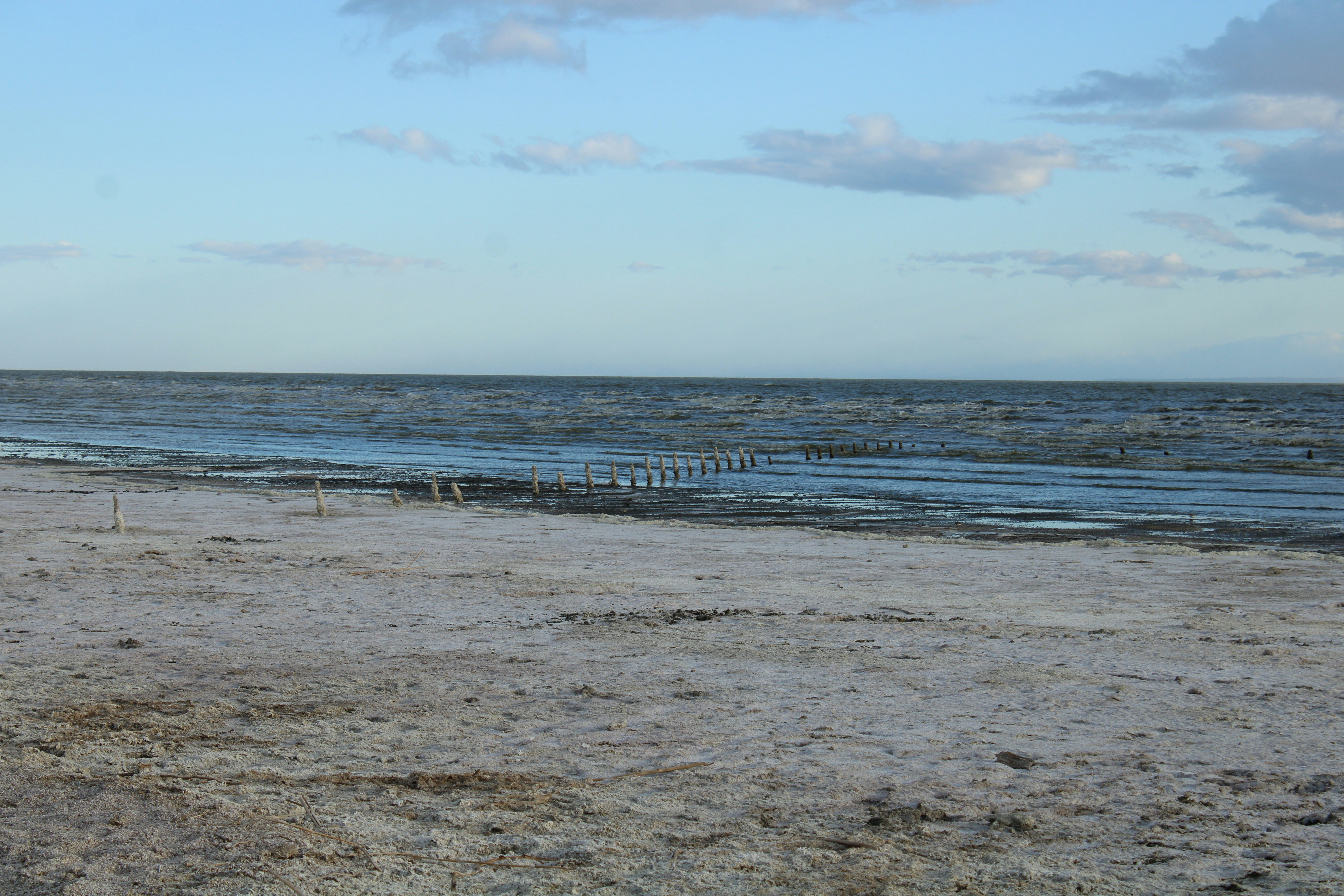 Whispers of the Tidal Shoreline