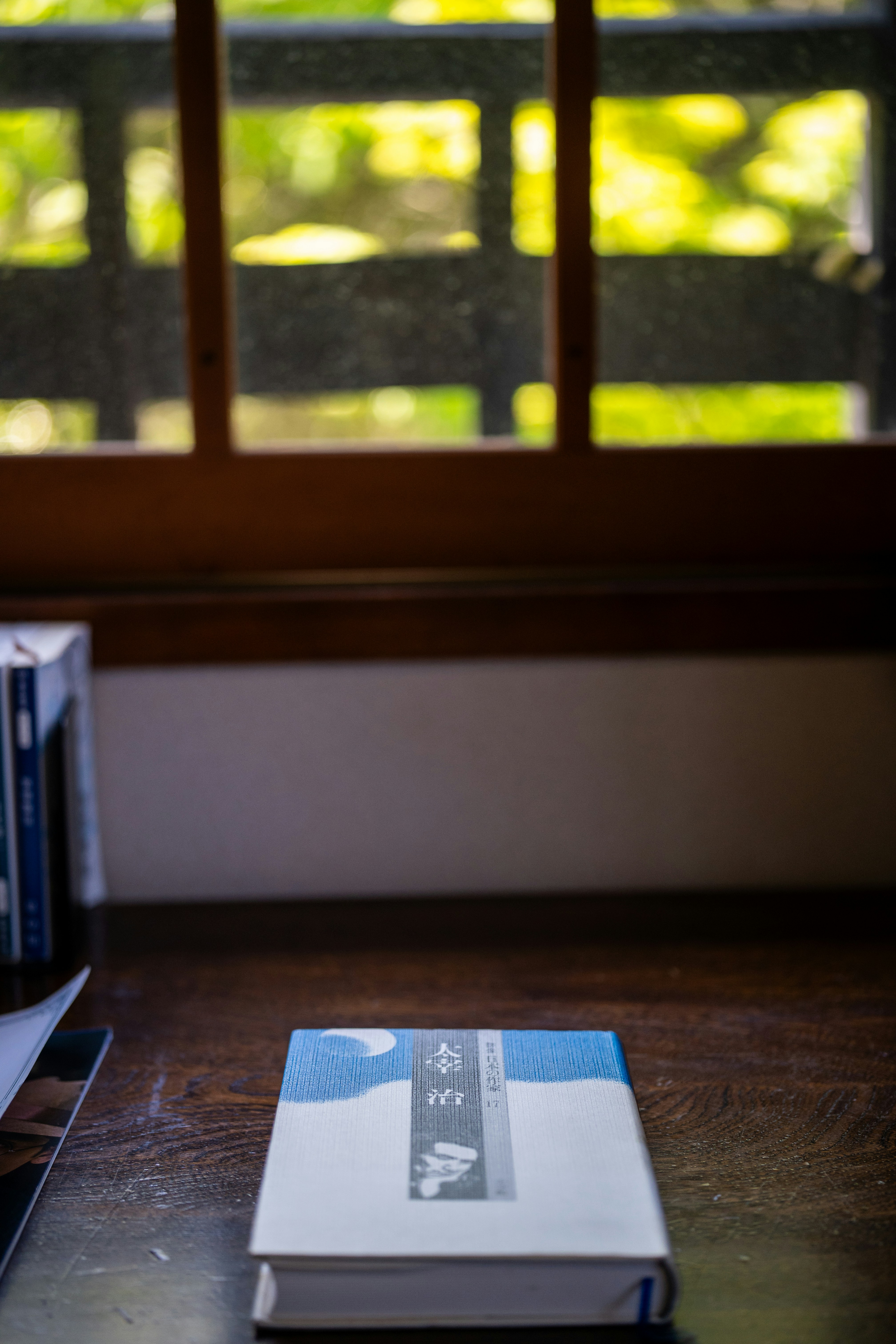 A serene scene featuring a book resting on a wooden table, with soft natural light filtering through a window adorned with greenery.