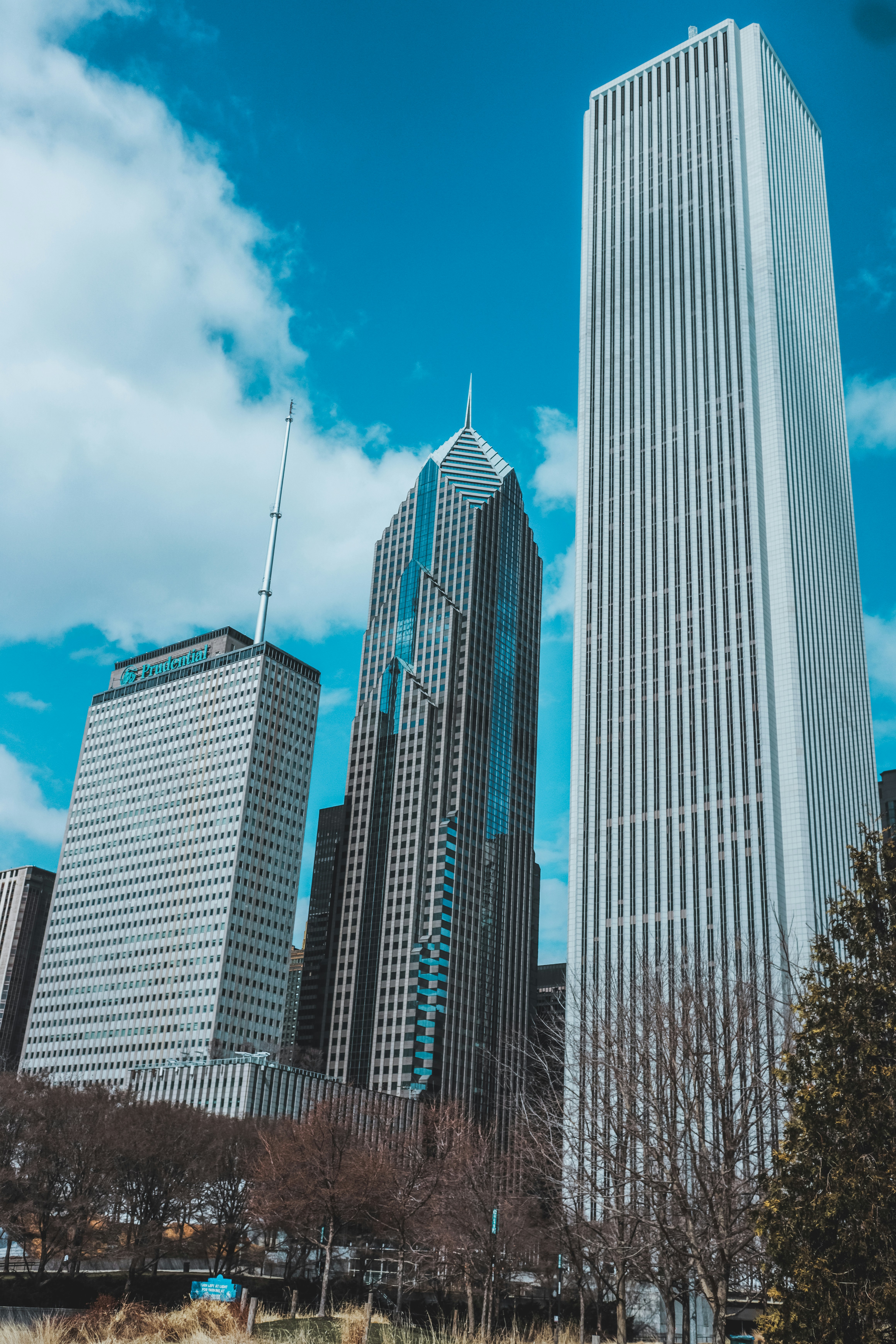 Glazed Giants Under a Cyan Sky