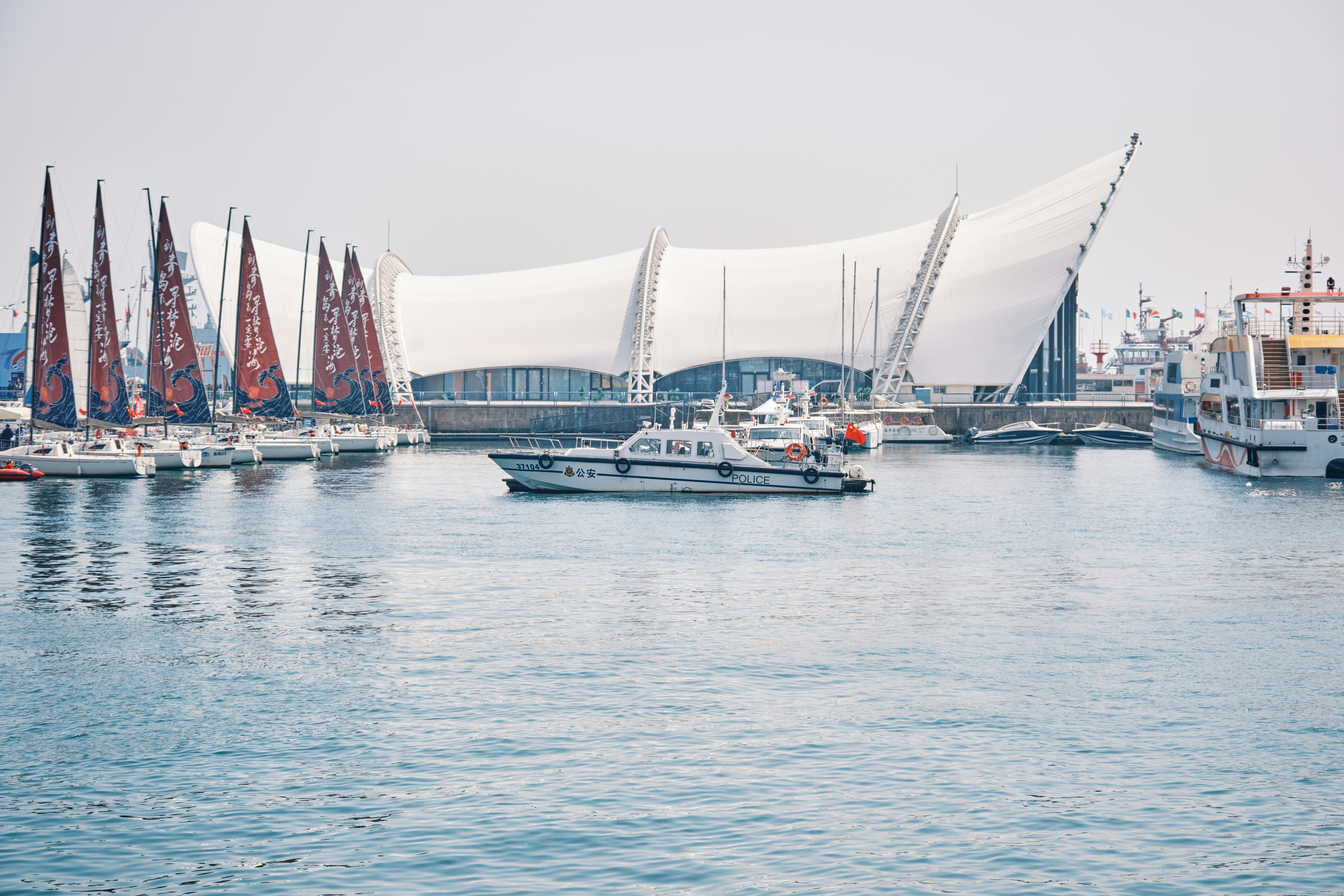 Harbor Canopy and Sails: A Quiet Maritime Portrait