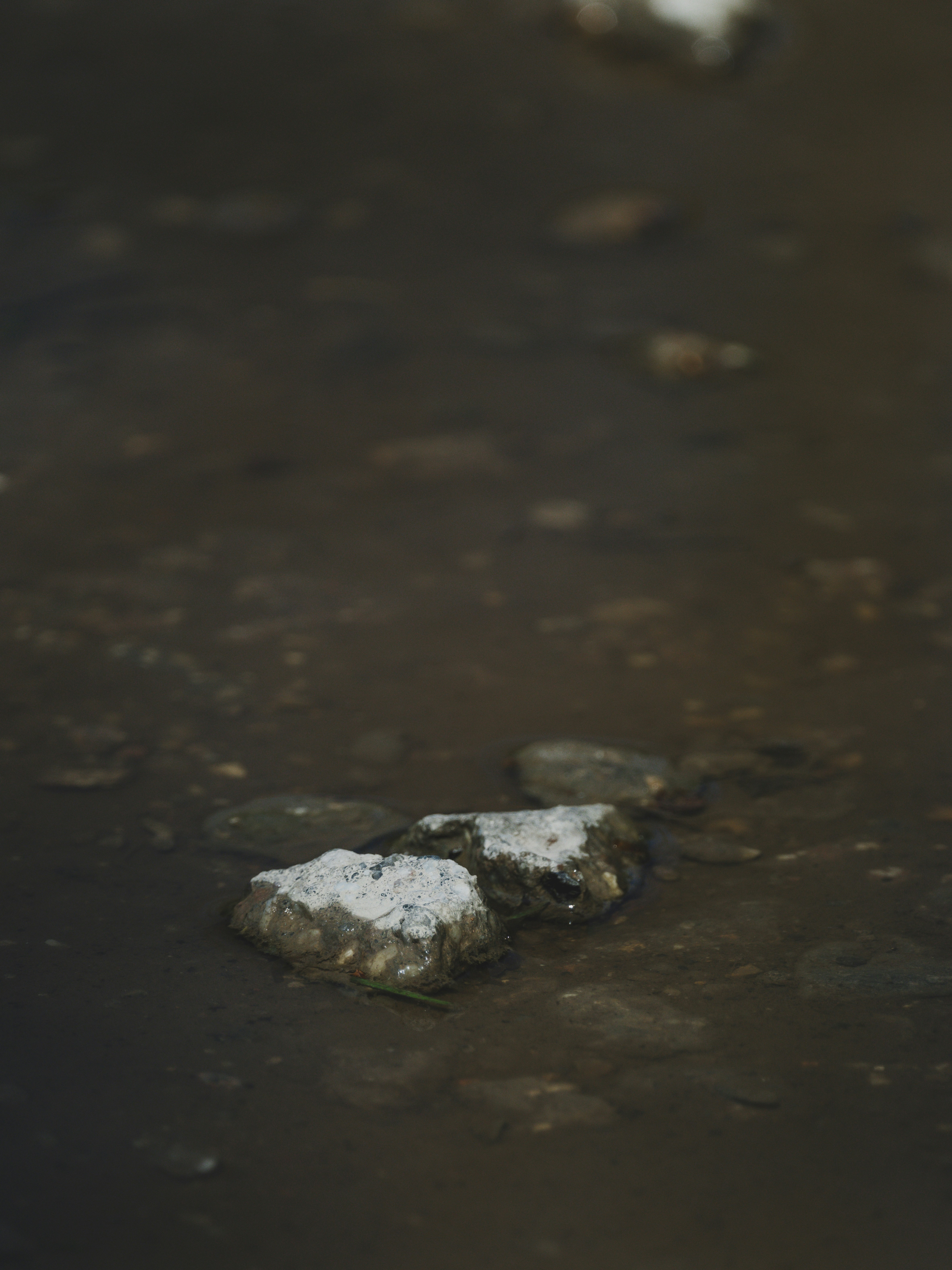 Three Pale Rocks in Dim Stream Light