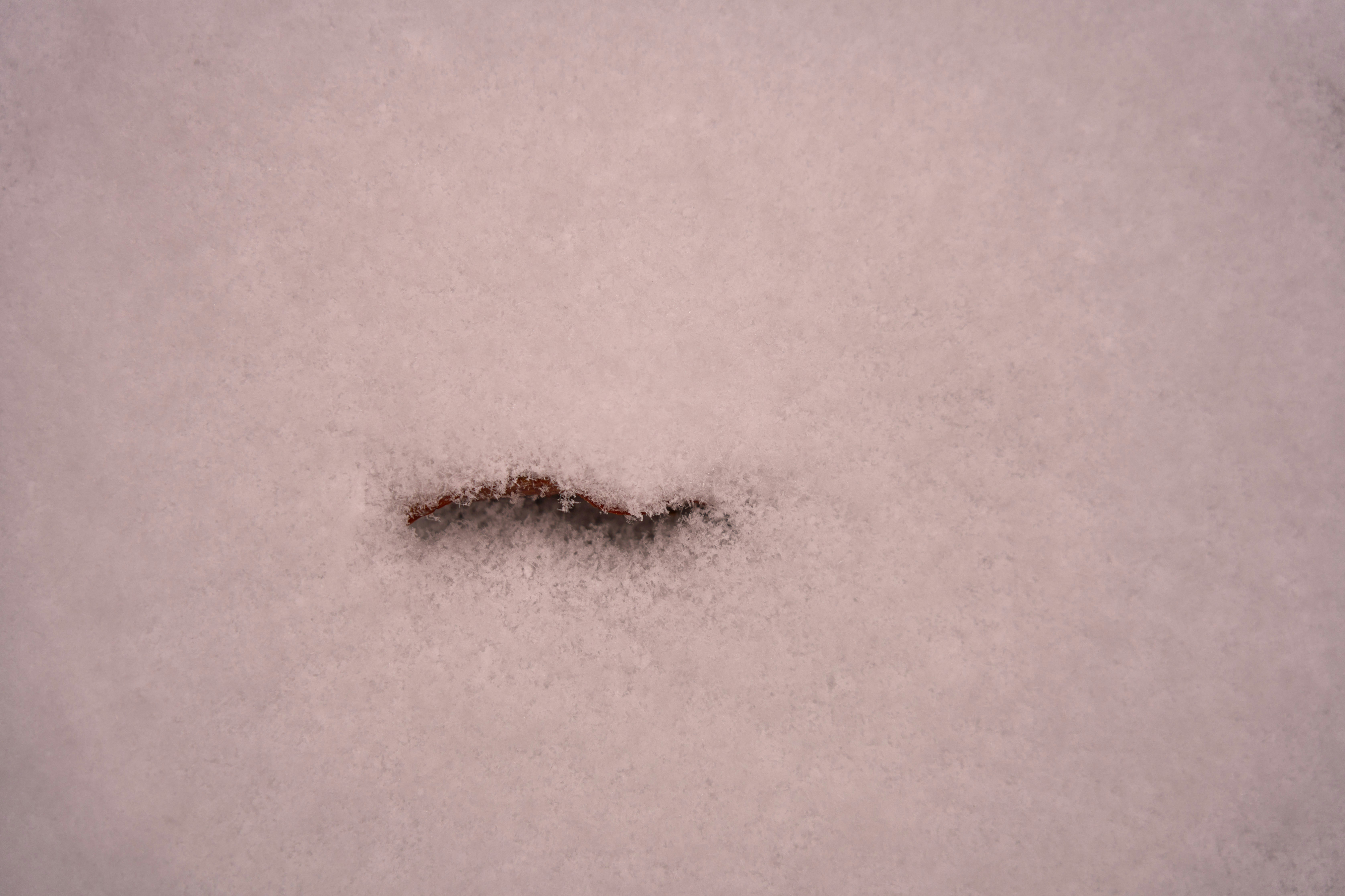 A subtle brown twig partially submerged in a blanket of soft, white snow, hinting at the quiet beauty of winter's embrace.
