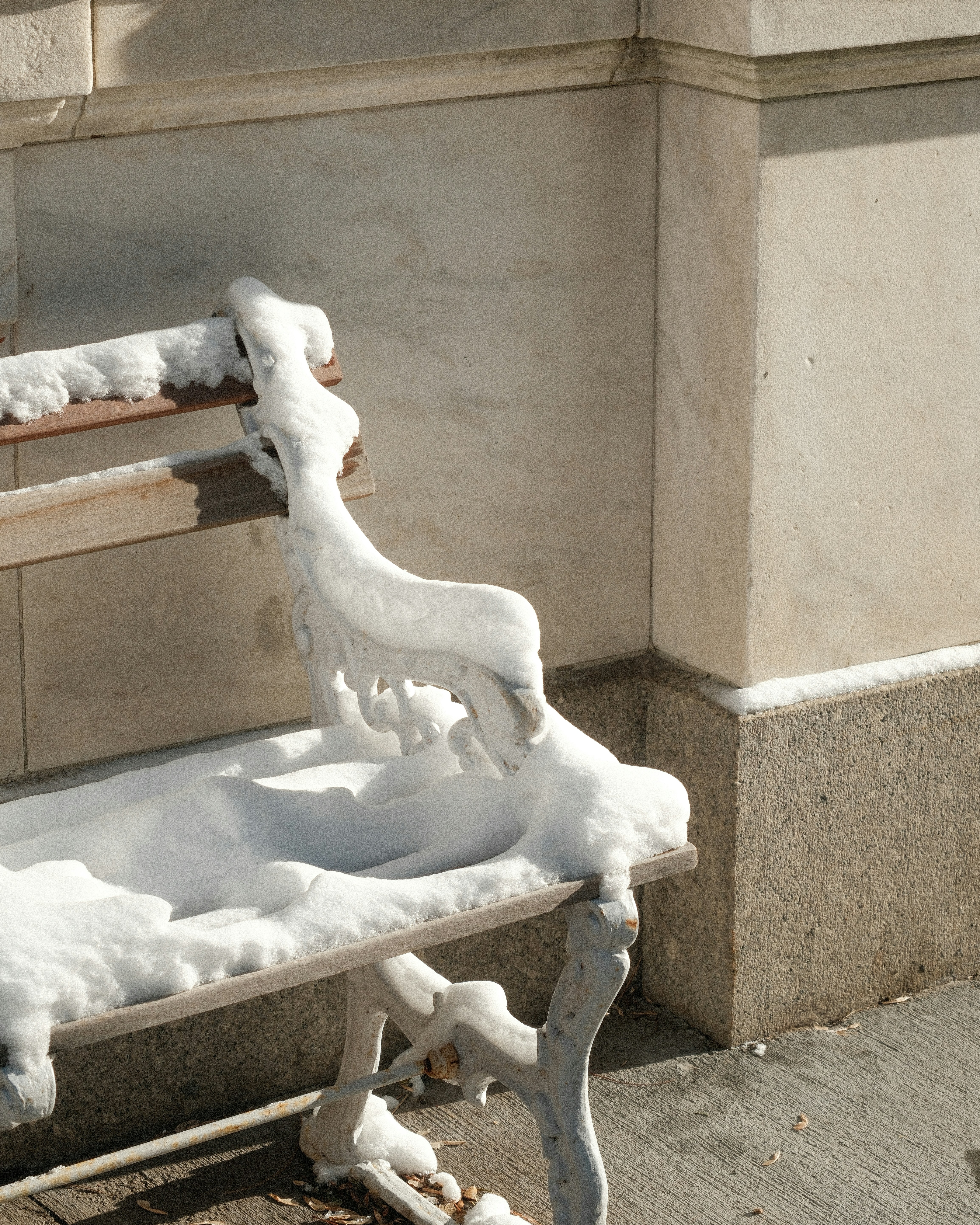 Snowbound Ironwork Bench Against a Sunlit Marble Facade