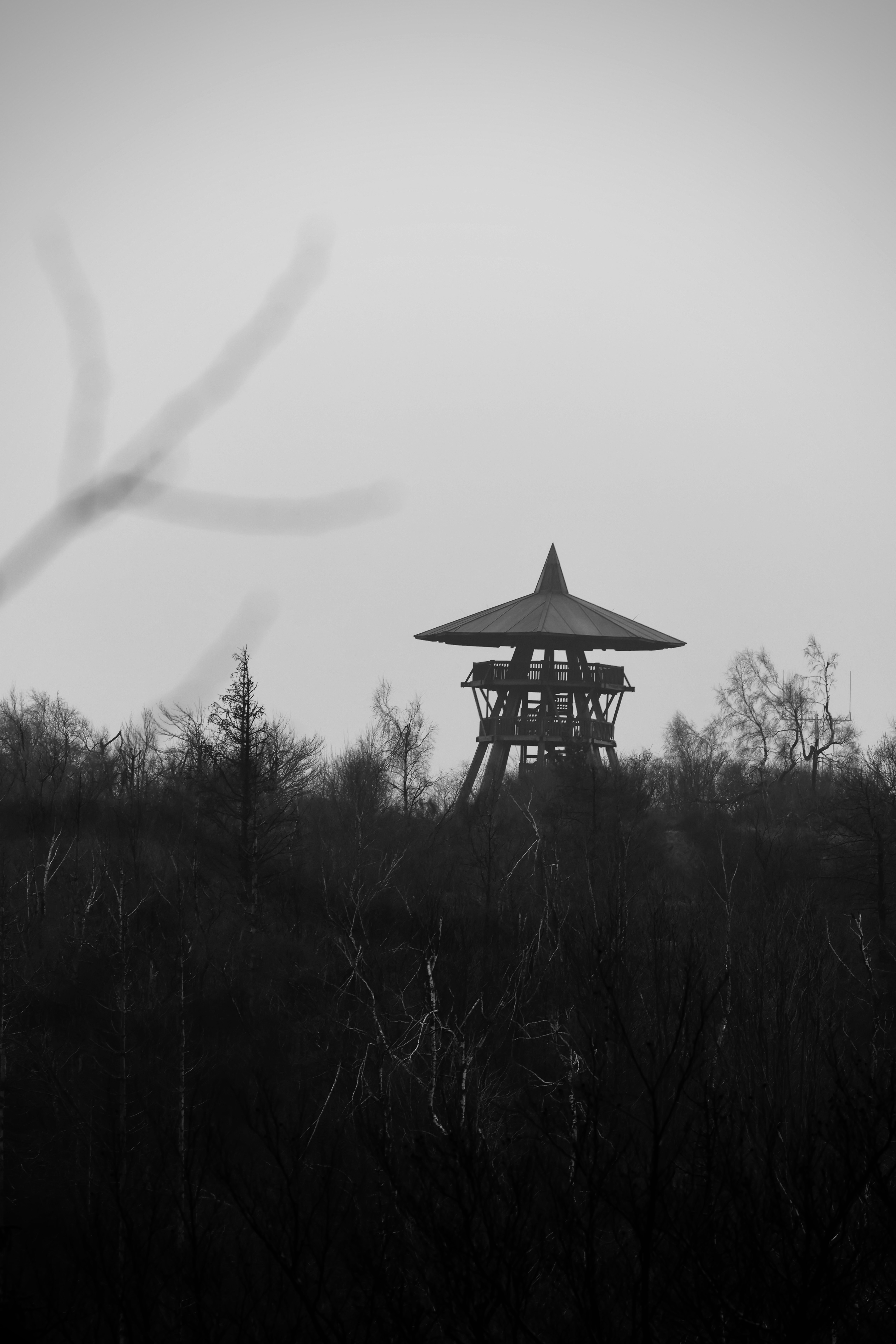 A lookout tower stands among trees in gray. photo – Free Deutschland ...