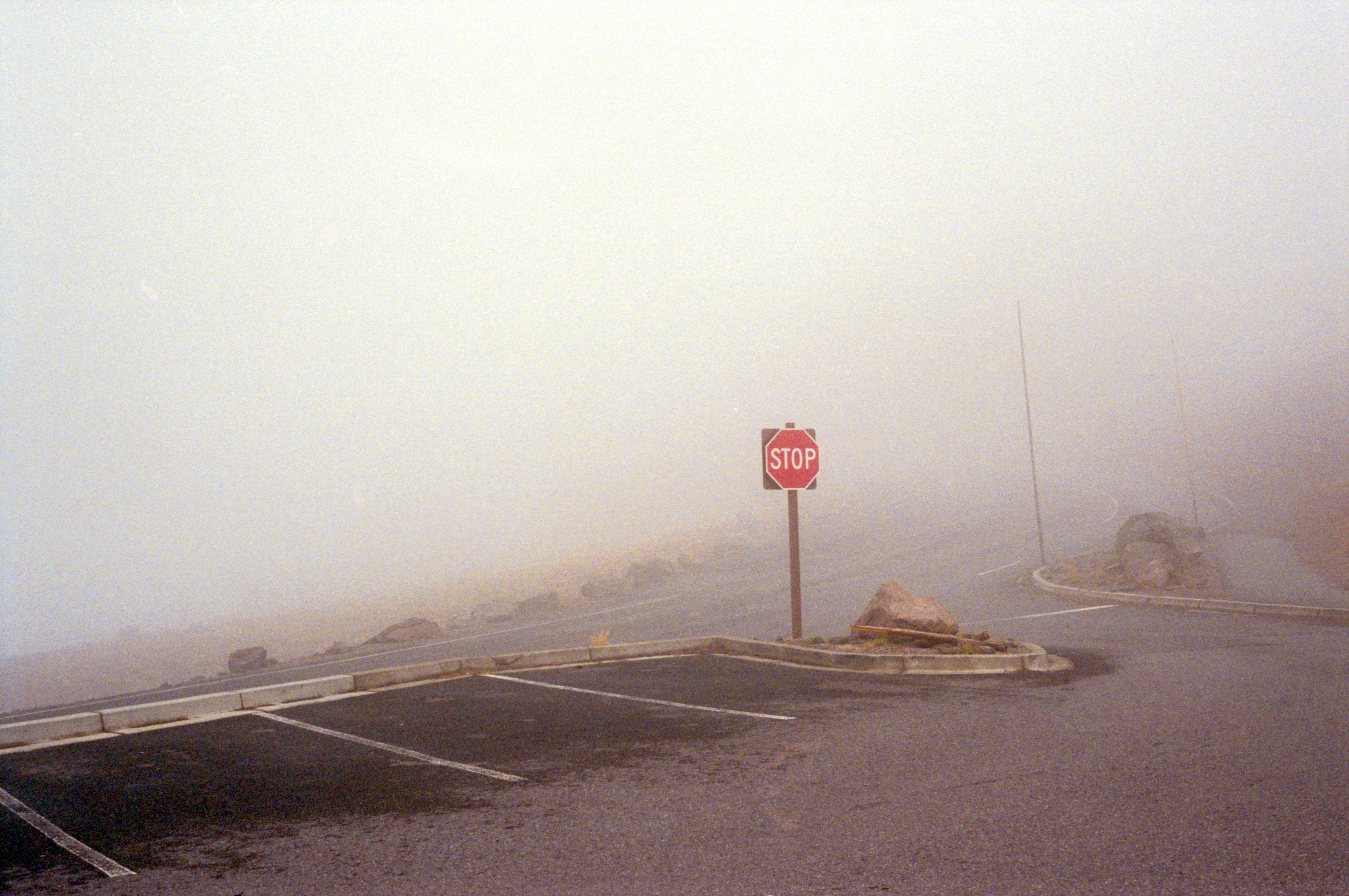 Fog-enshrouded Stop Sign at the Quiet Edge of a Parking Lot