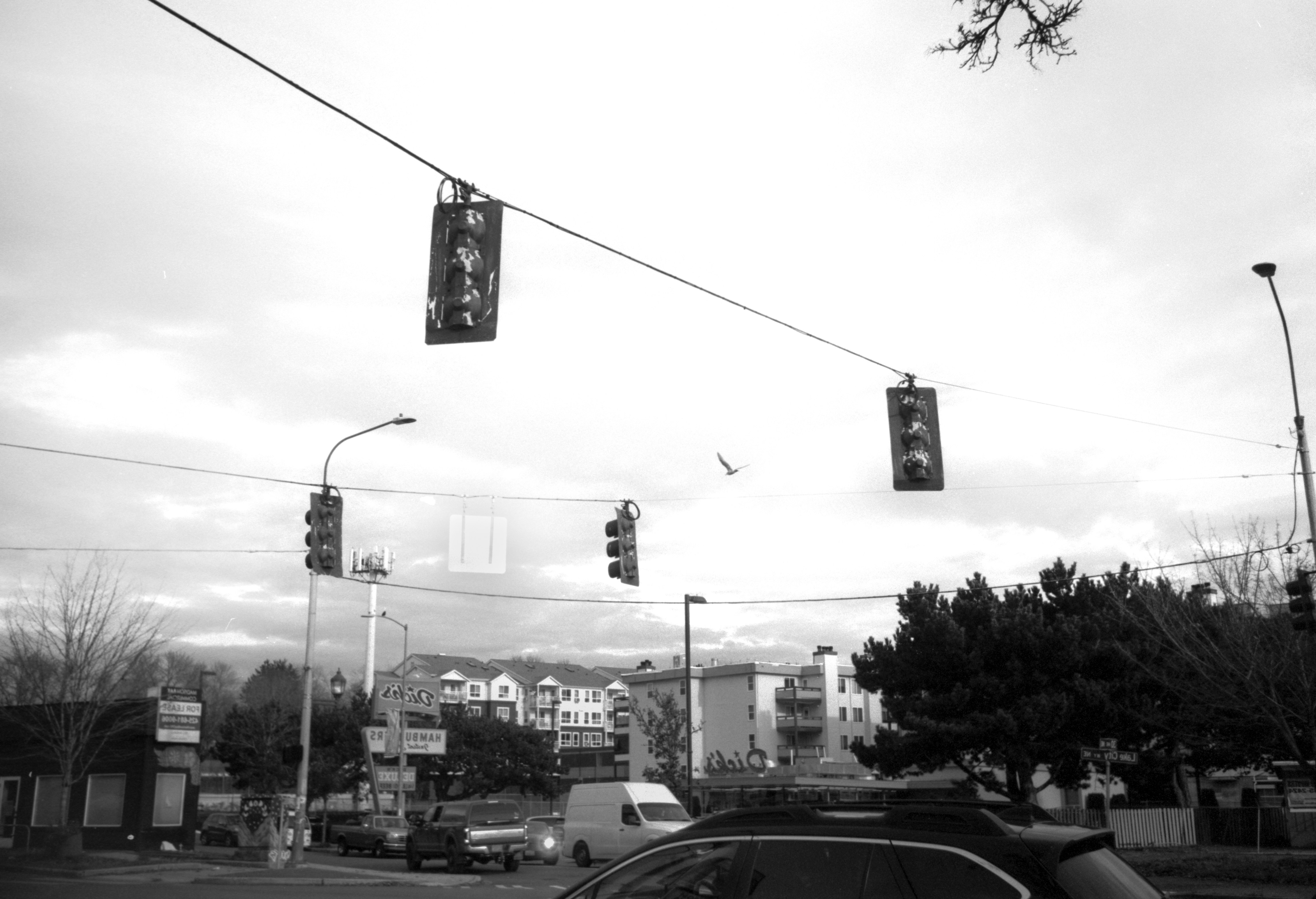 Traffic signals hang above a busy urban street. photo – Free Image on ...