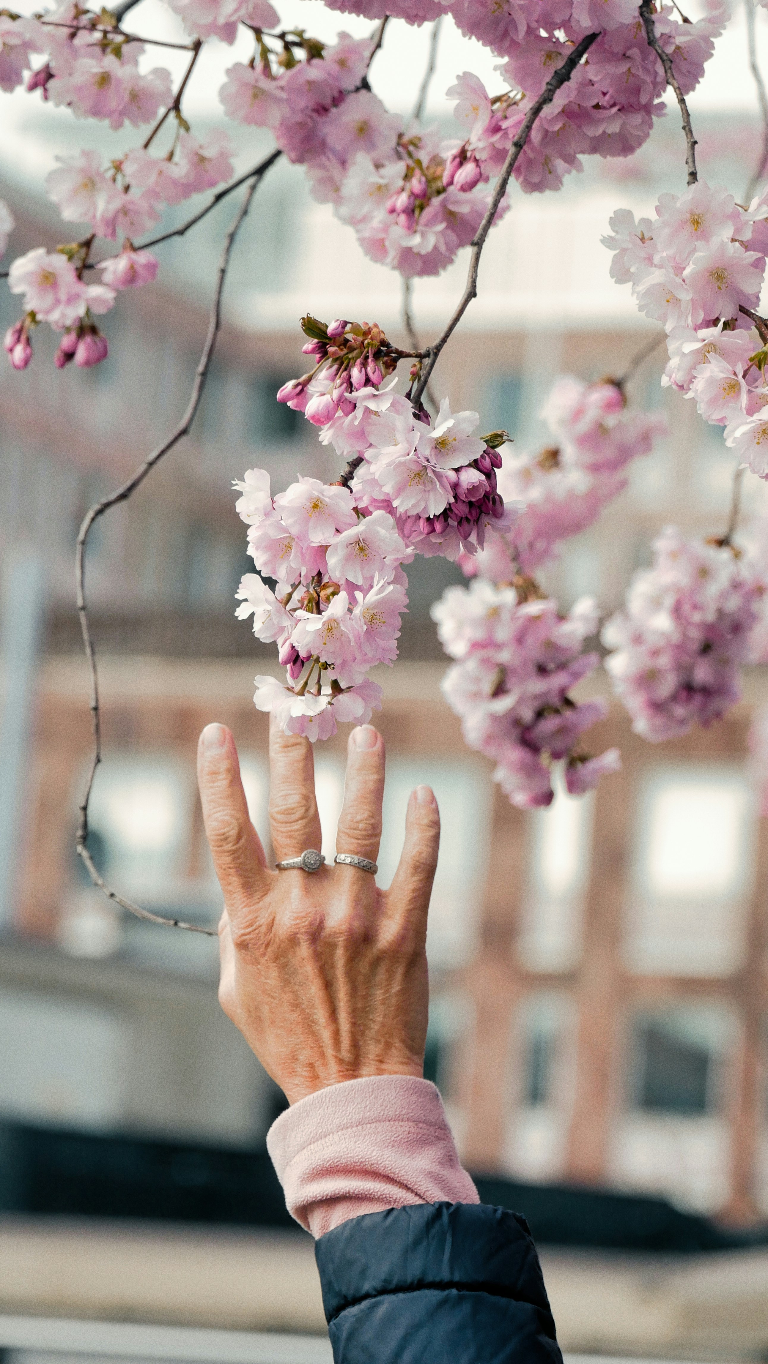 Tushar Mahajan (@route2tushar) | Unsplashフォトコミュニティ