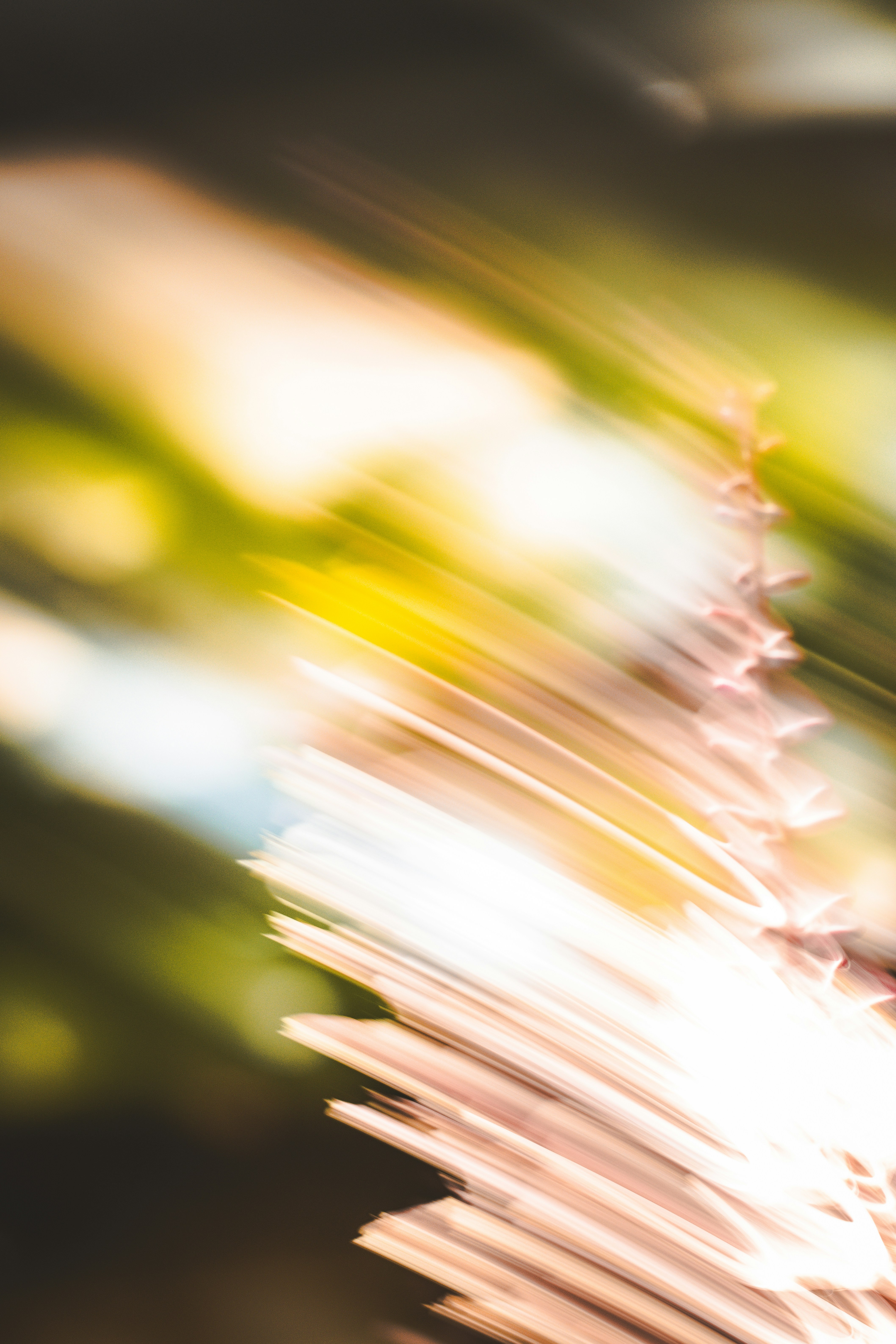 Abstract blurred colors and light create a dynamic effect. photo – Free ...