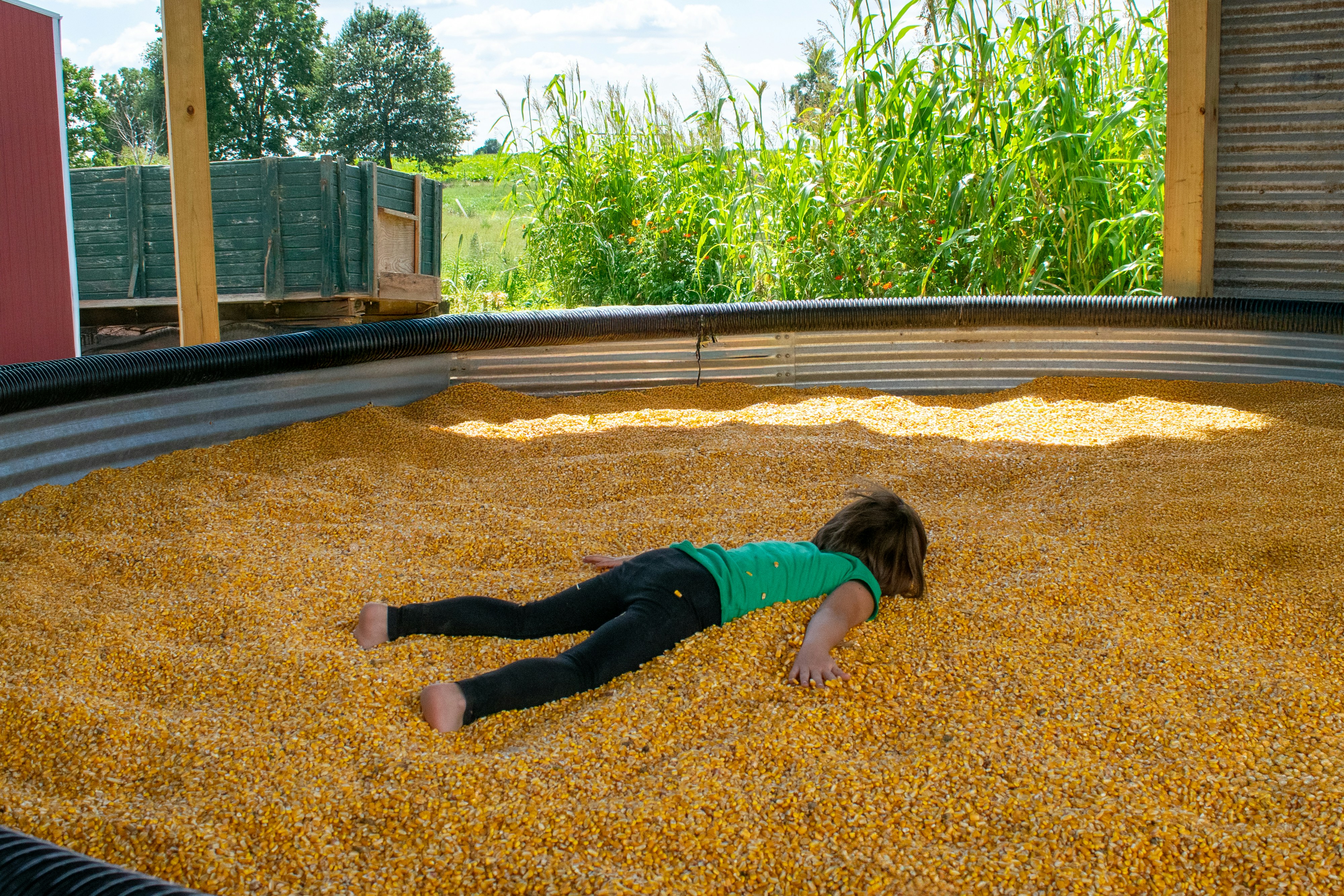 A girl plays in a corn pit. photo – Free Child playing Image on Unsplash