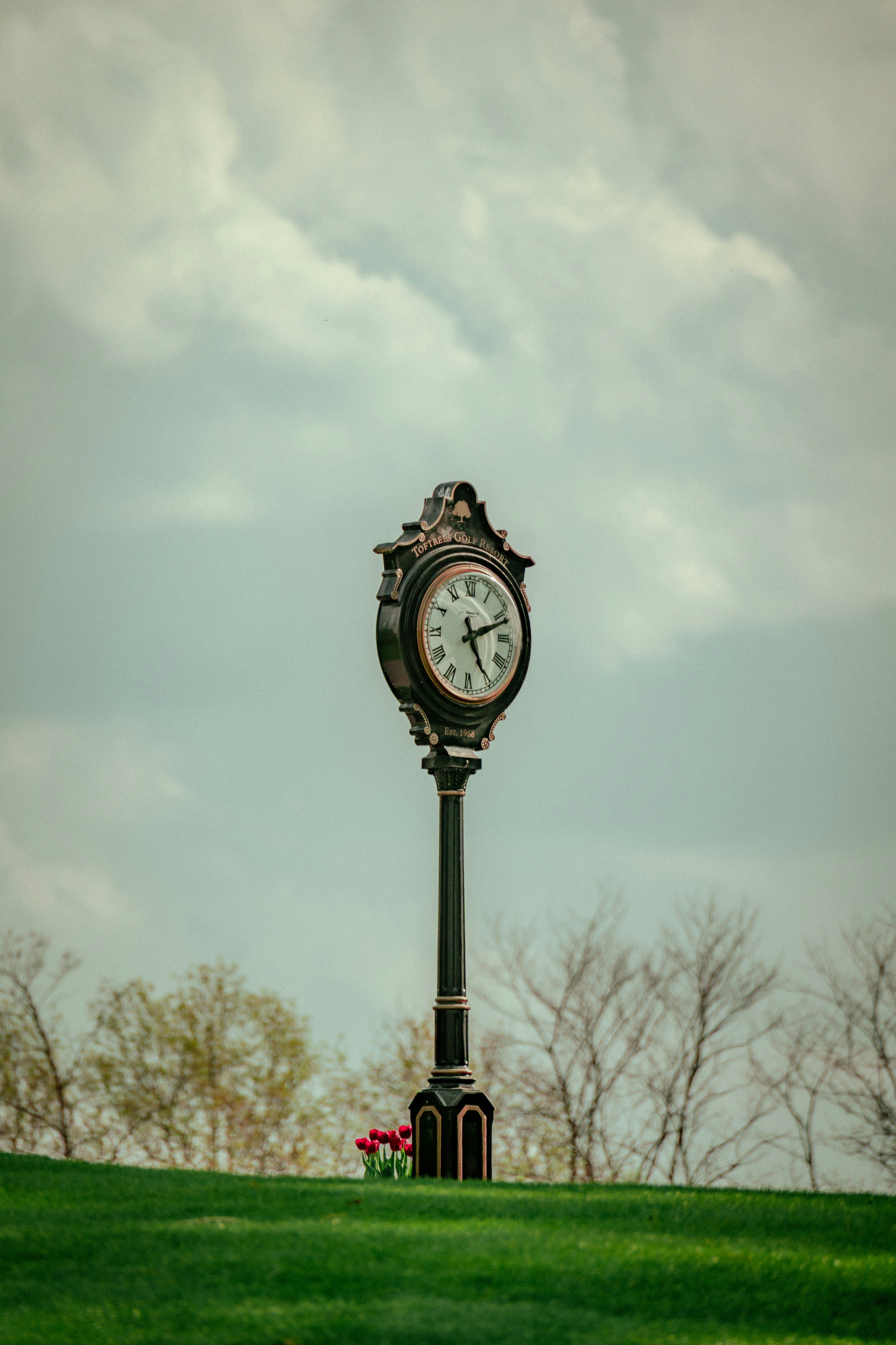 The Quiet Beacon: A Vintage Clock in a Spring Park