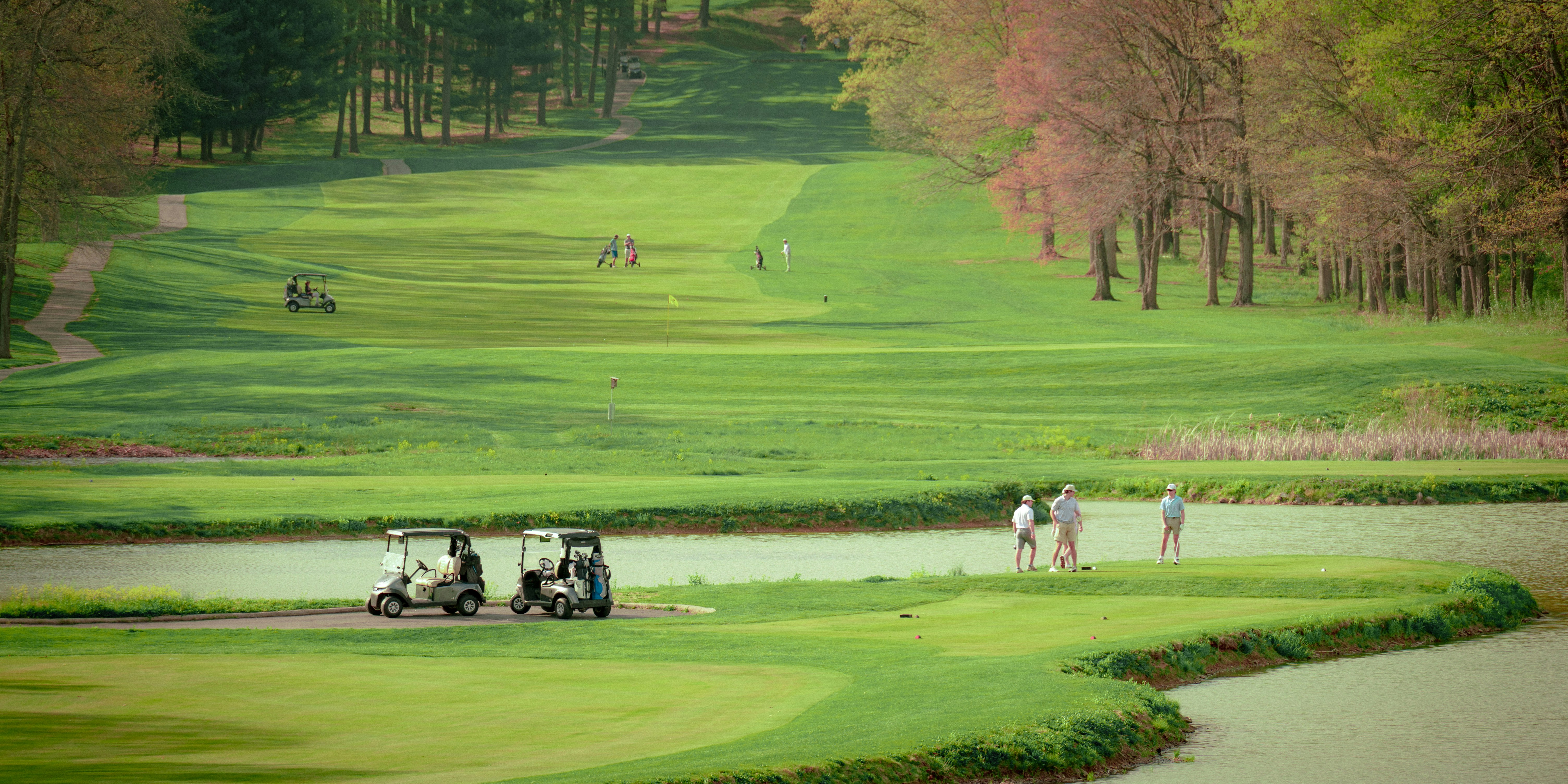 Green Allure: a tranquil stretch of the golf course under dappled light