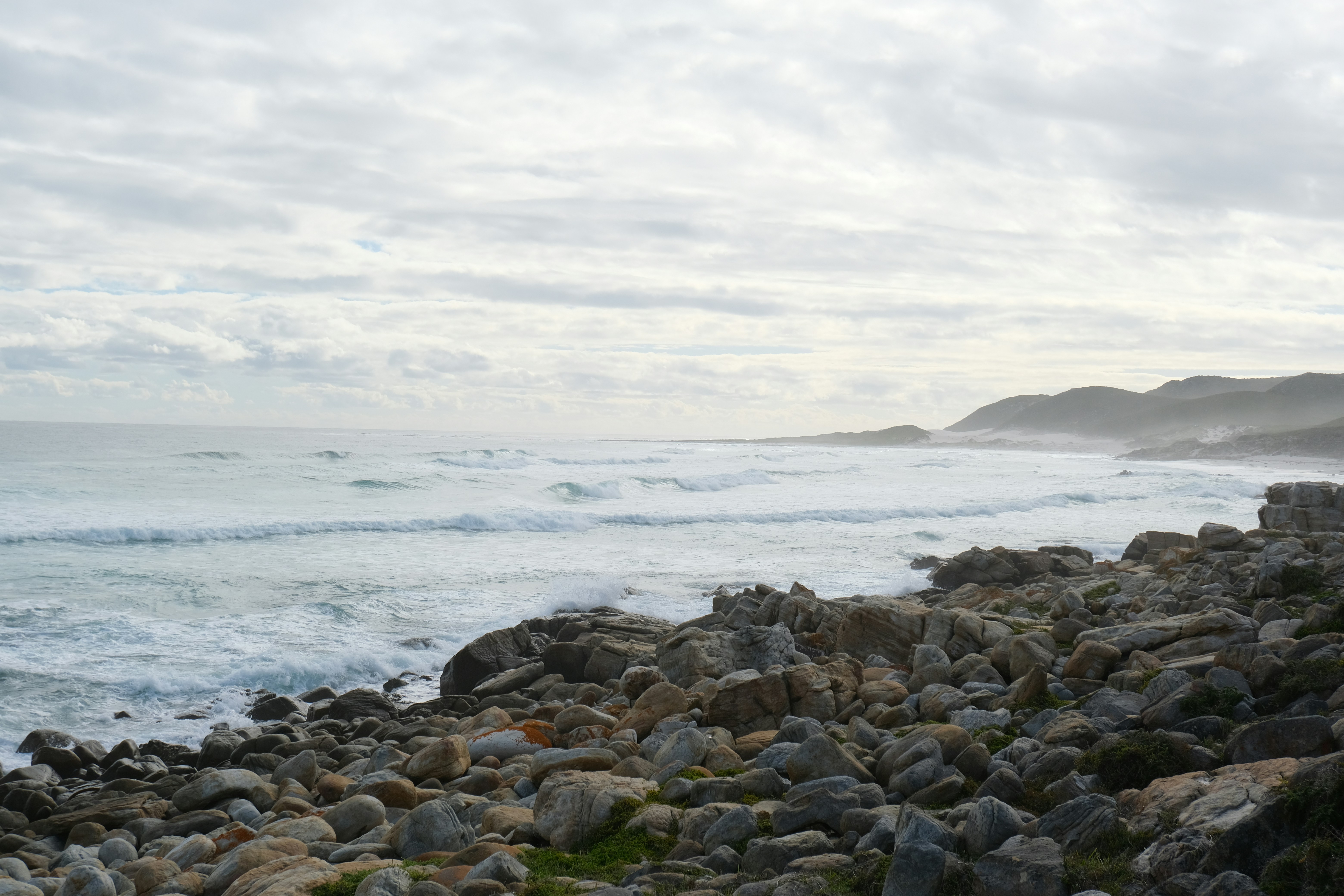 Photo by Anil Baki Durmus with Fujifilm X-T30 II