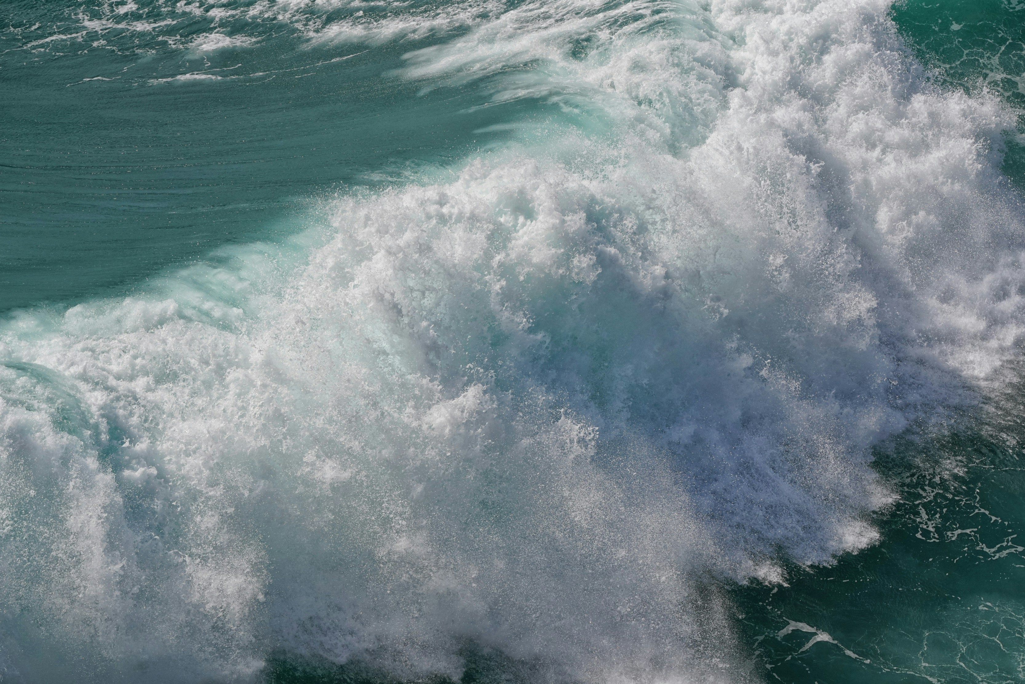 A large wave crashes with foamy water. photo – Free Wild Image on Unsplash