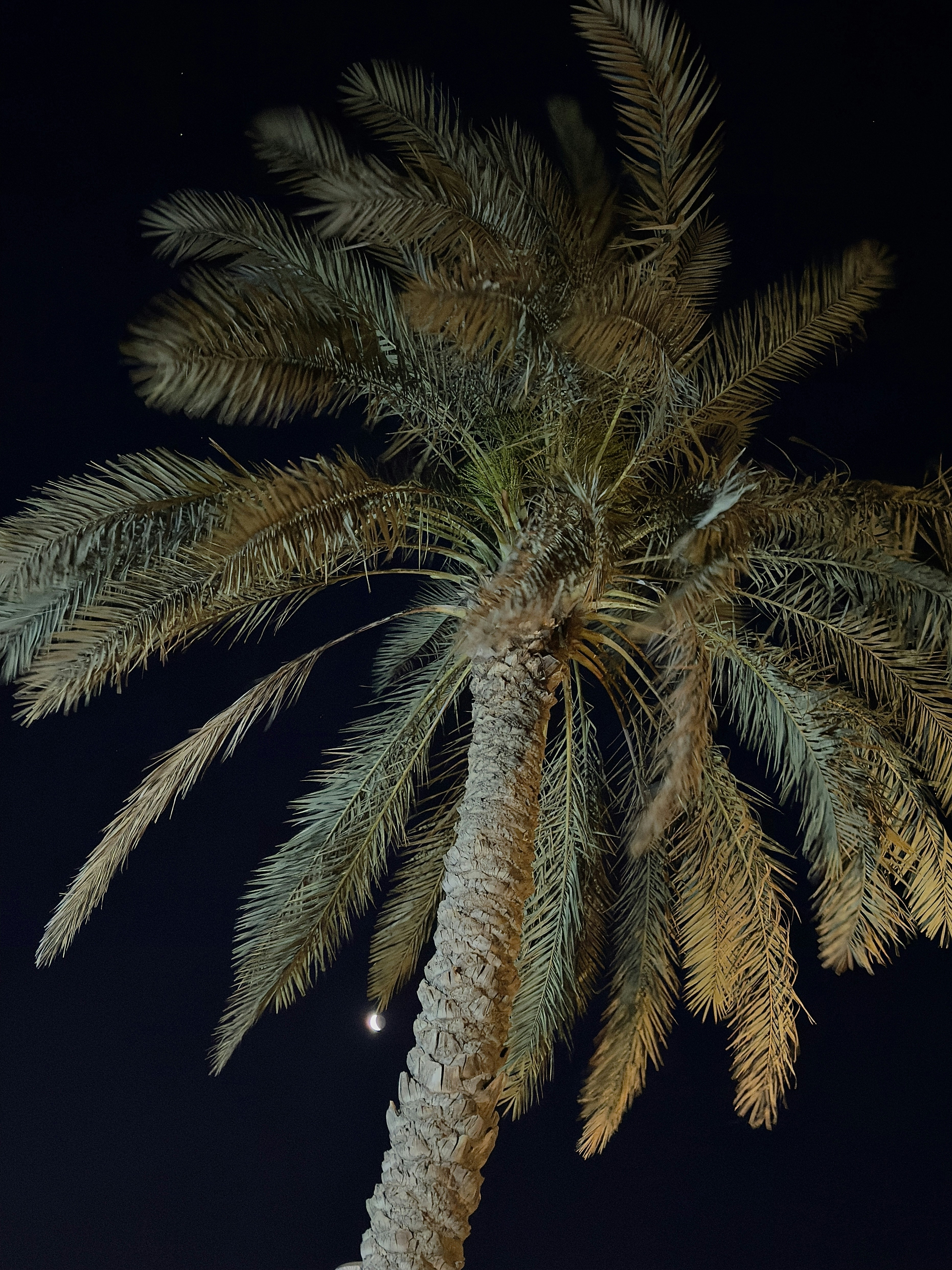 Salman Yaqoob (@salmanyaqoob) | Unsplash Photo Community
