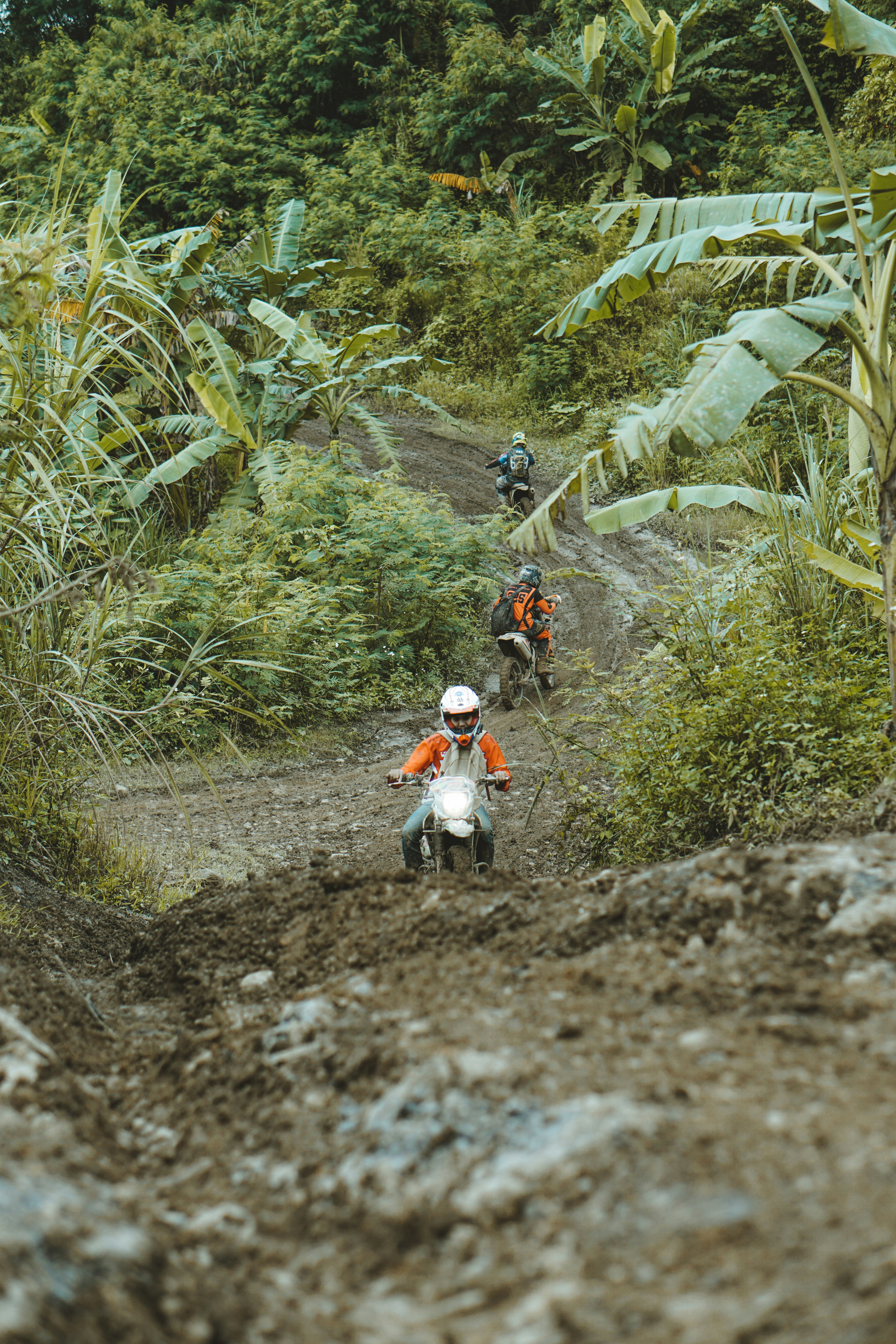 Adventurous Trails: A Journey Through Nature's Pathways