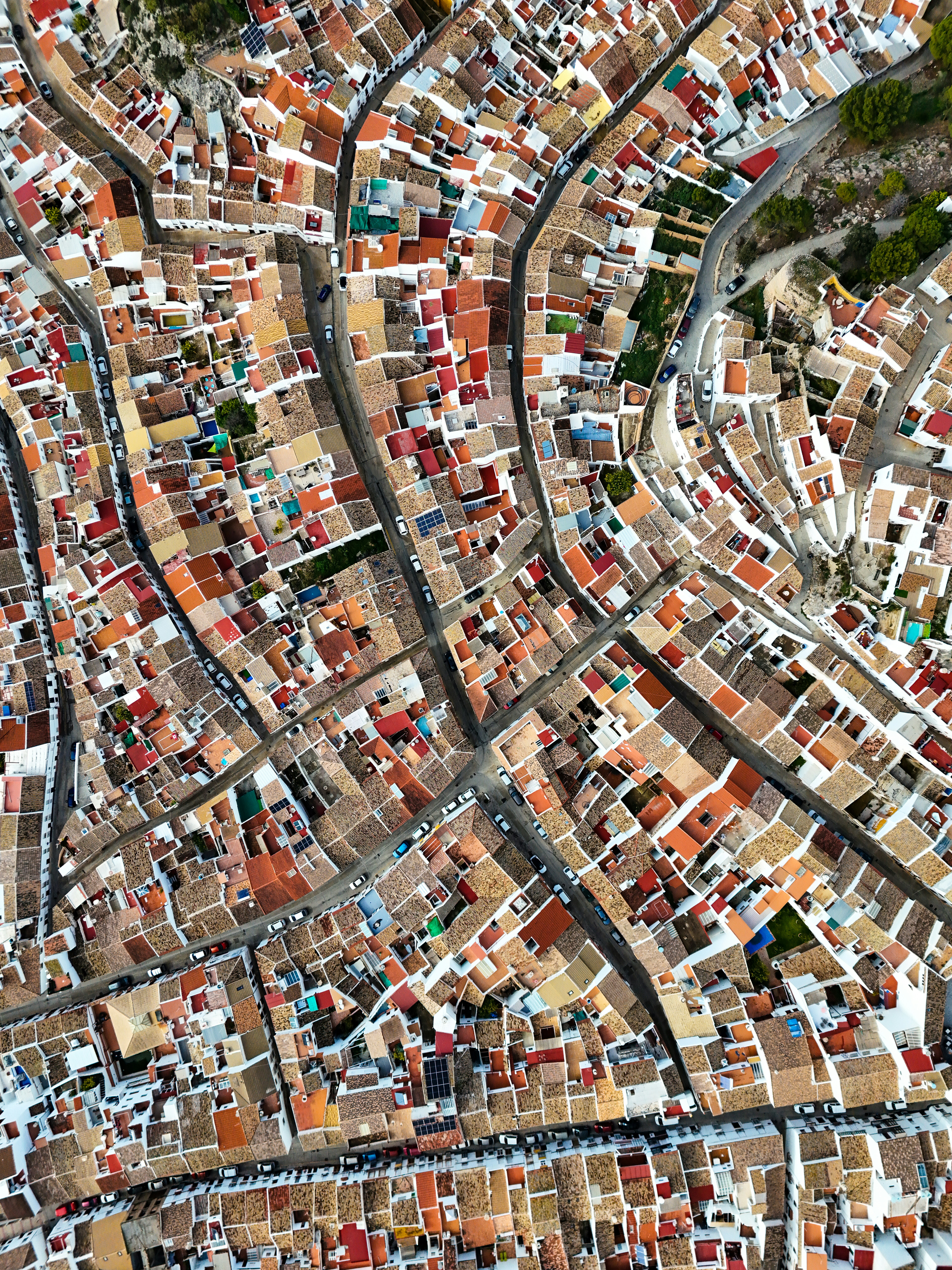 Concentric Rooftops: Aerial Mosaic of a Circular Village