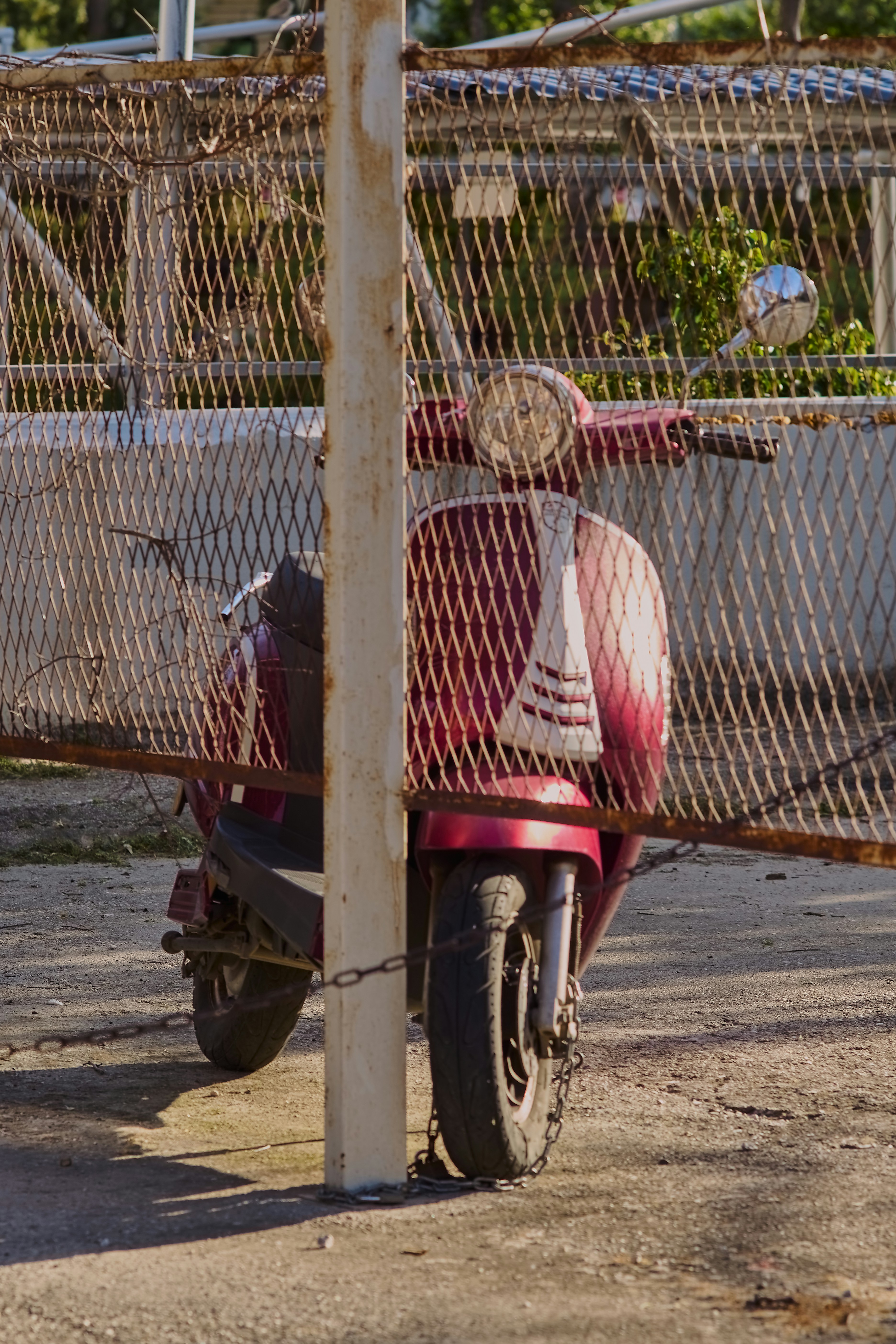 Red Scooter Framed by Rusted Mesh Gate