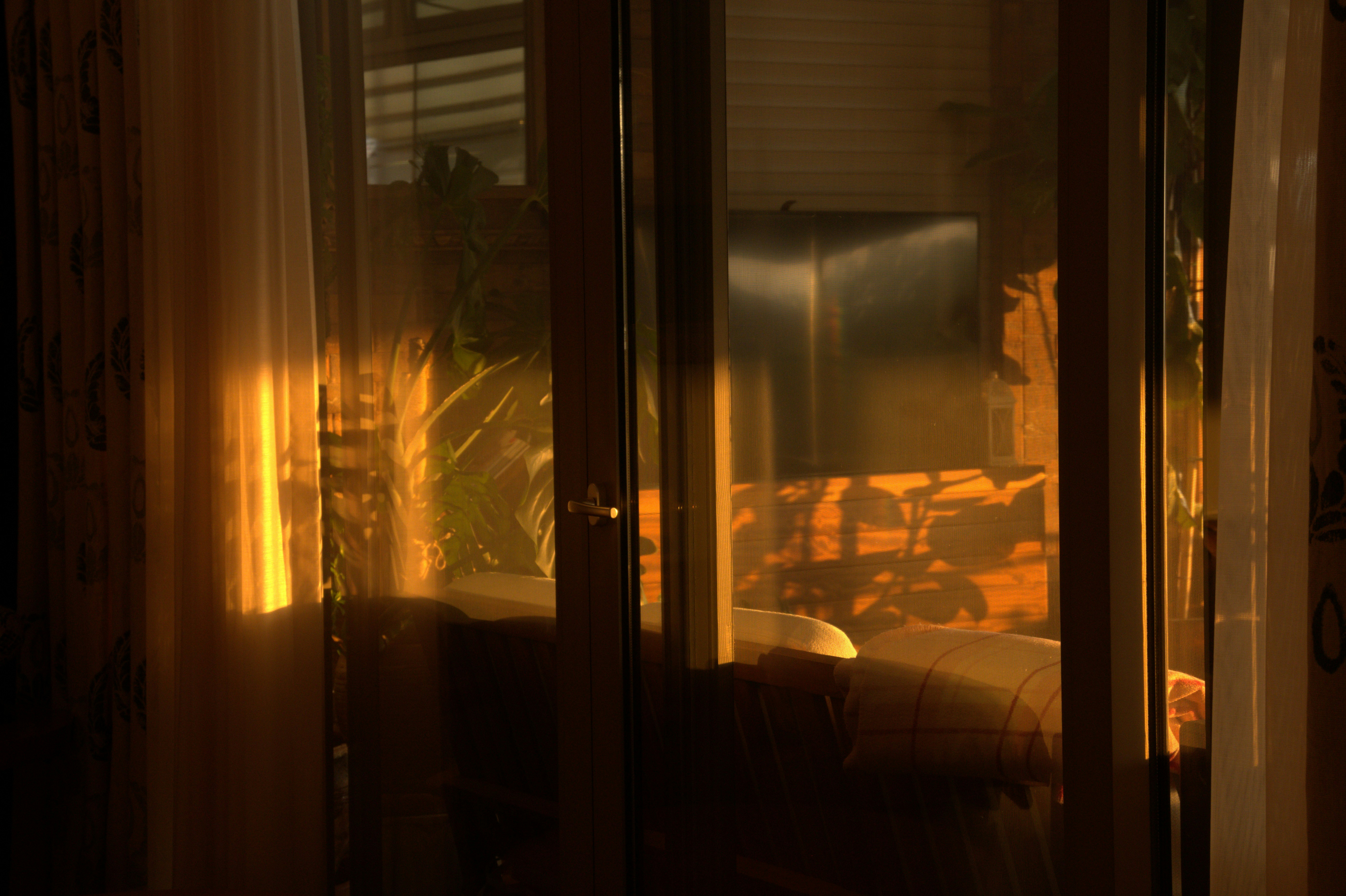 Golden light shines through glass doors. photo – Free Image on Unsplash