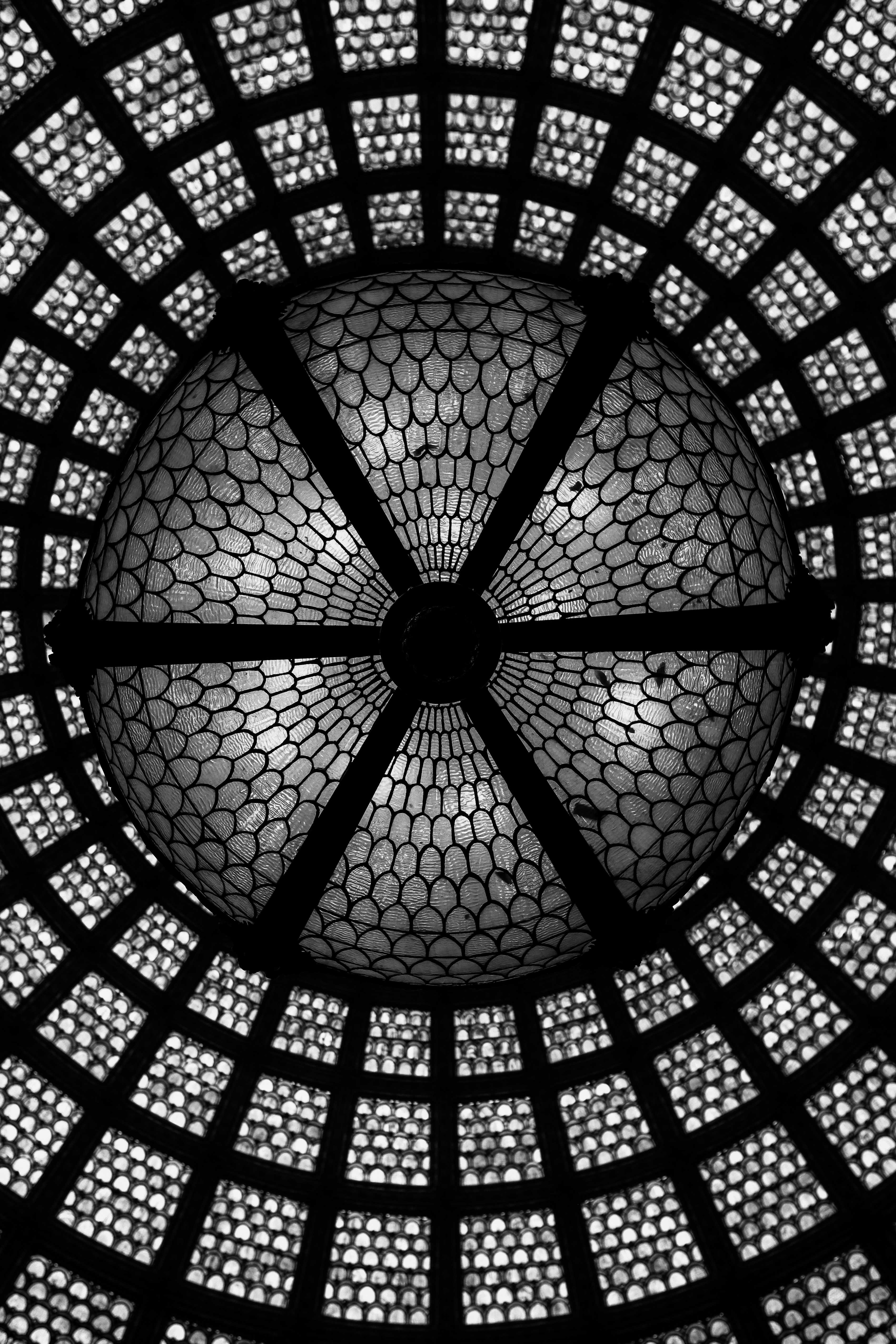 Convergence of Light and Lattice: A Monochrome Dome Portrait