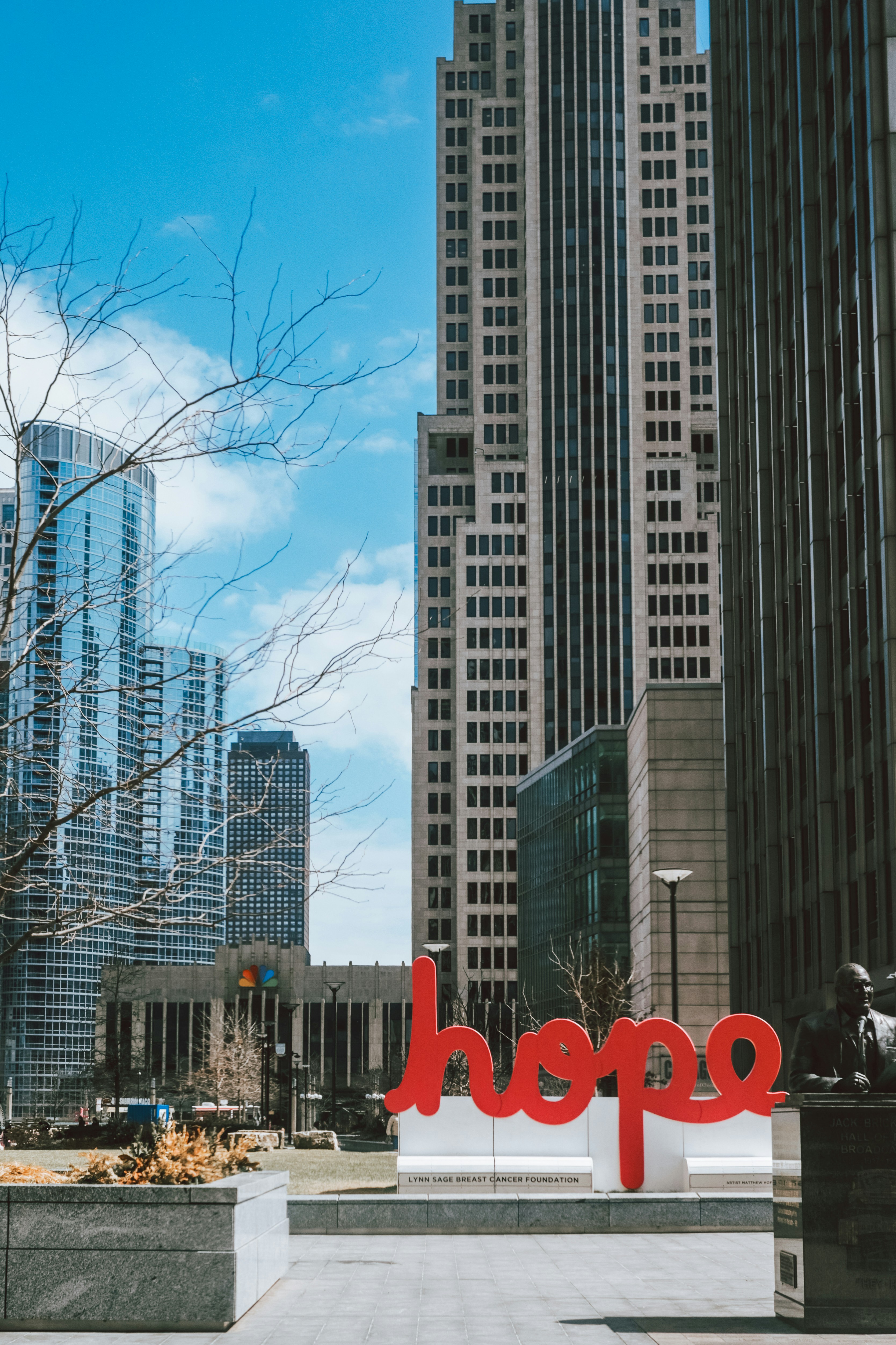 Urban Resilience: A Beacon of Hope Amidst Skyscrapers