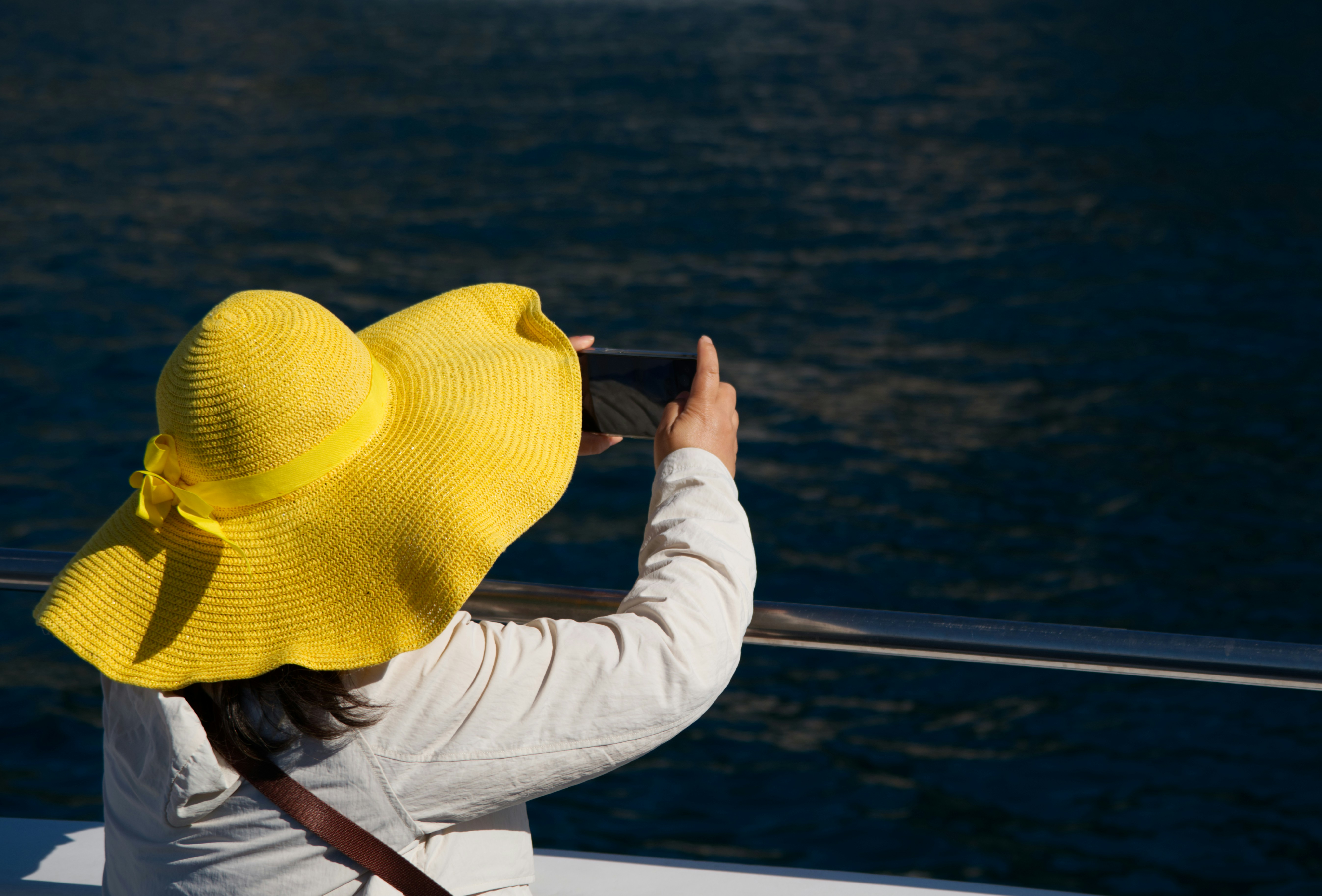 Sunlit Moments on the Water