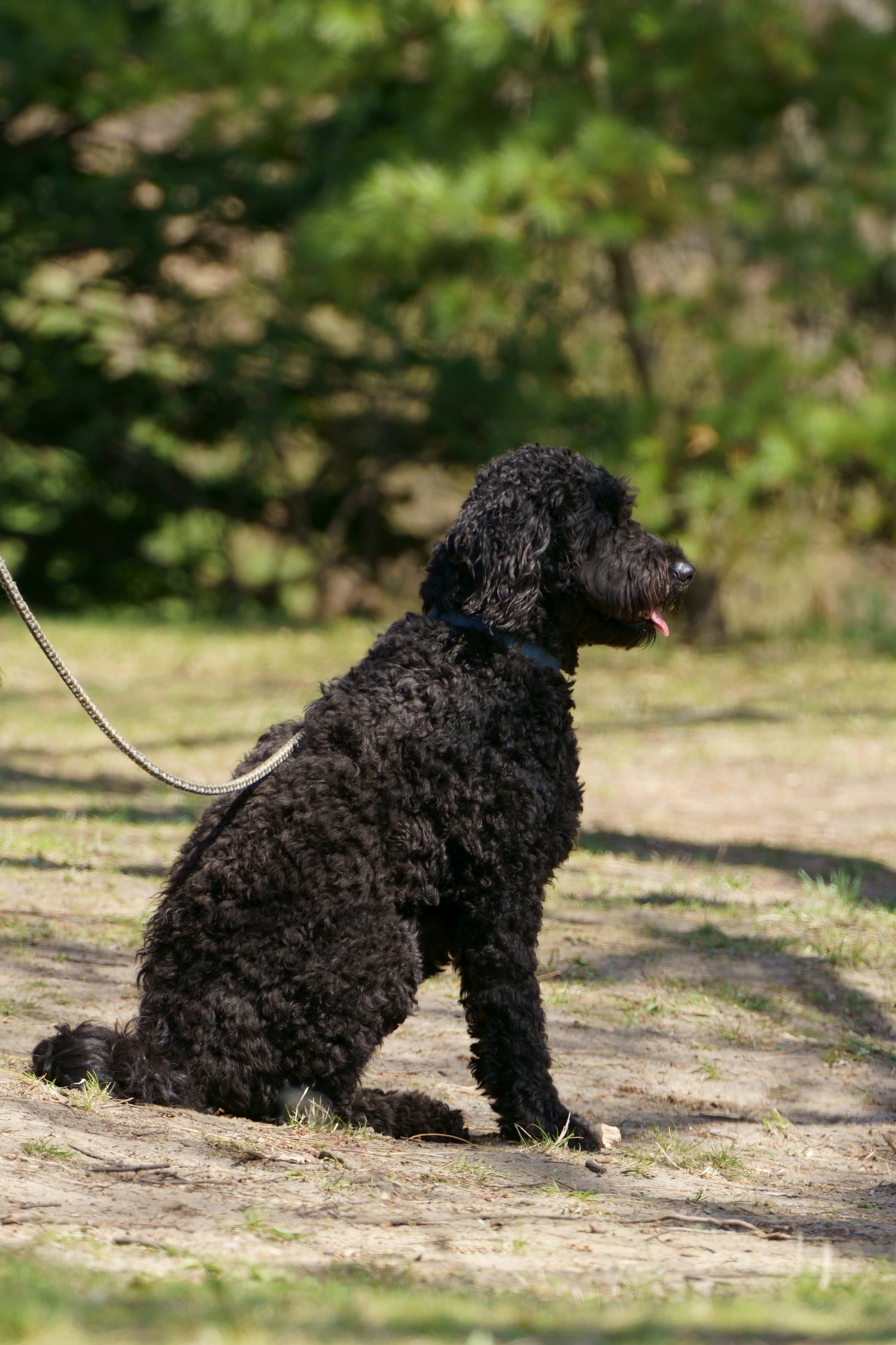 Photo by Linyun Wu with Sony Alpha 7R IV