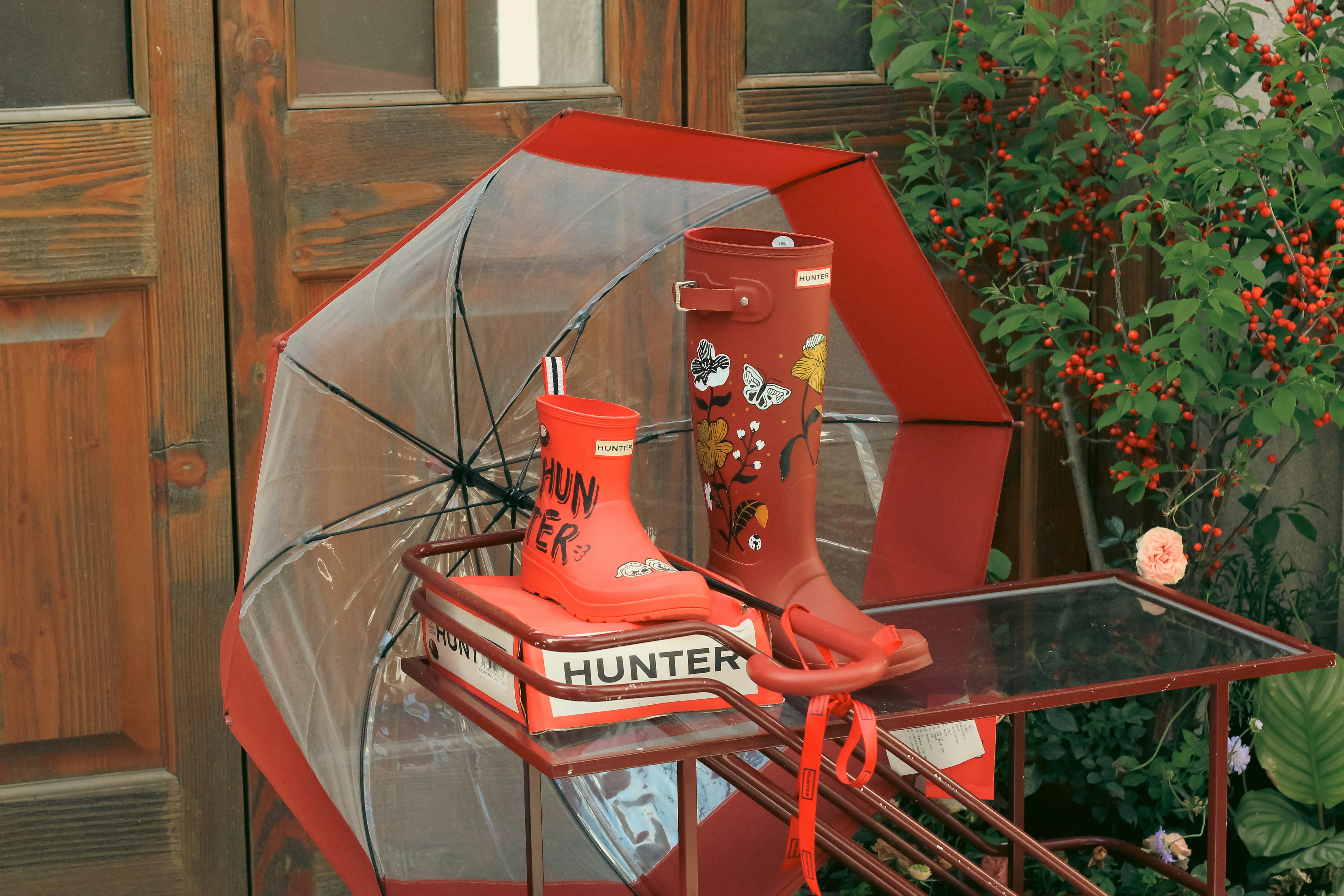 Photo by DOKYUNG KIM with Canon EOS 550D