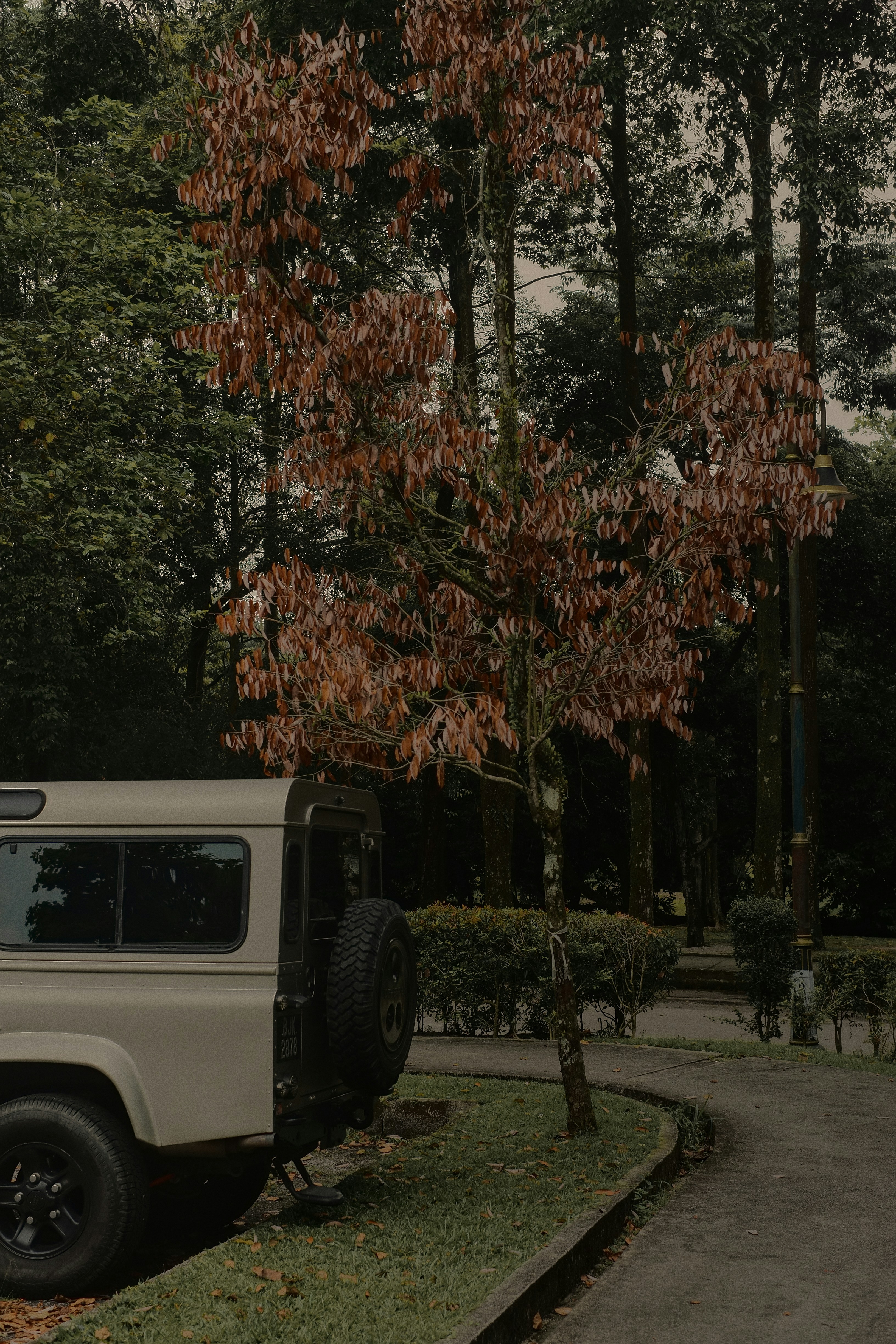 Amber Leaves Framed by a Parked Off-Road SUV